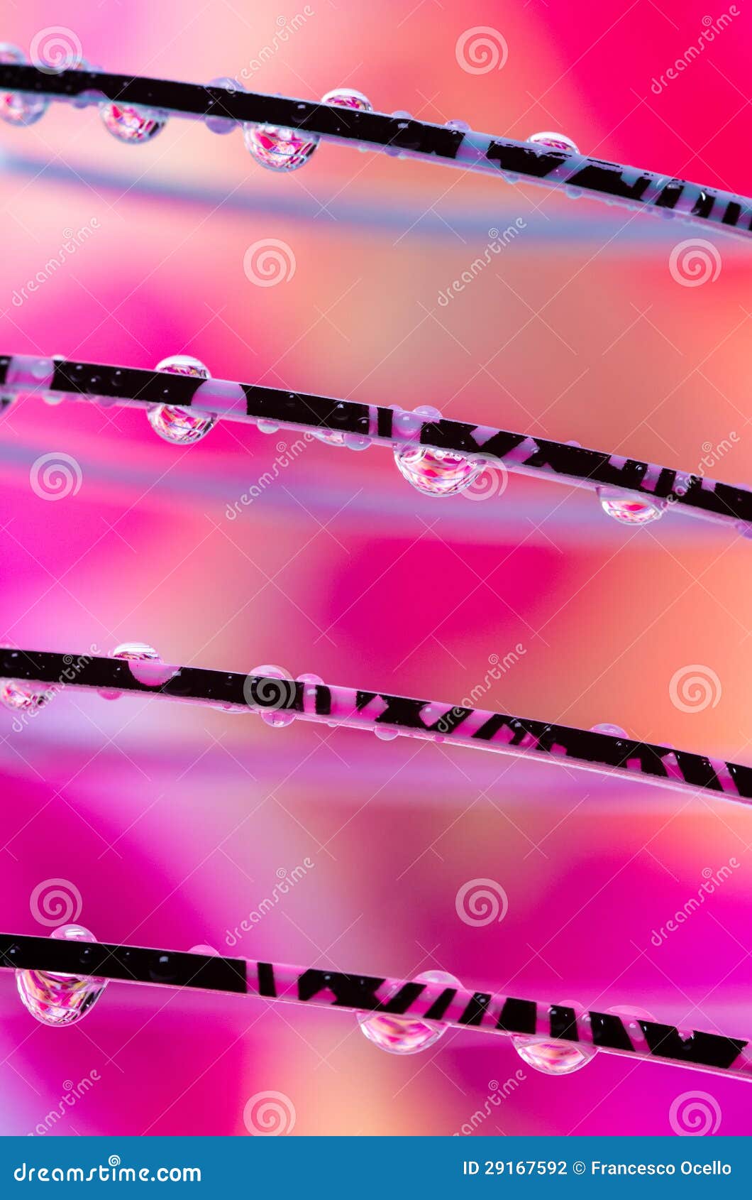 Hanging Glistening Water Droplets Stock Photo - Image of raindrops ...