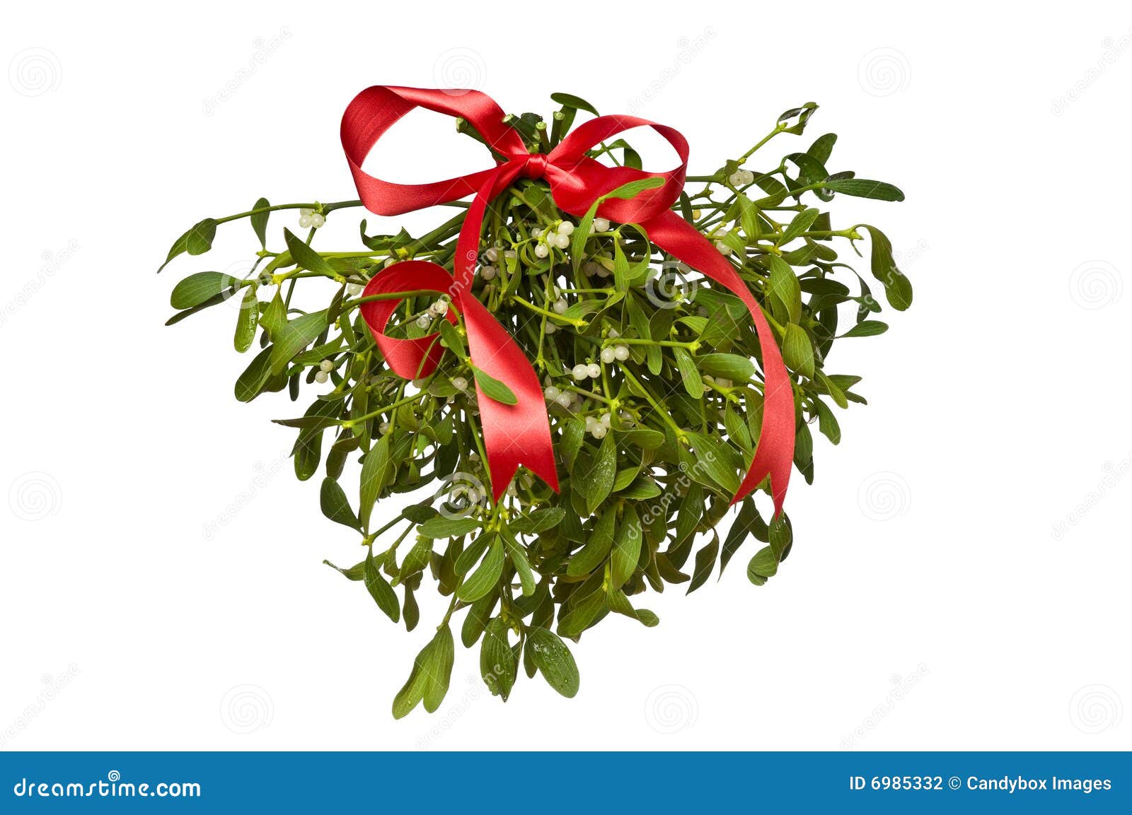 1,313 Mistletoe Bow Stock Photos - Free & Royalty-Free Stock Photos ...