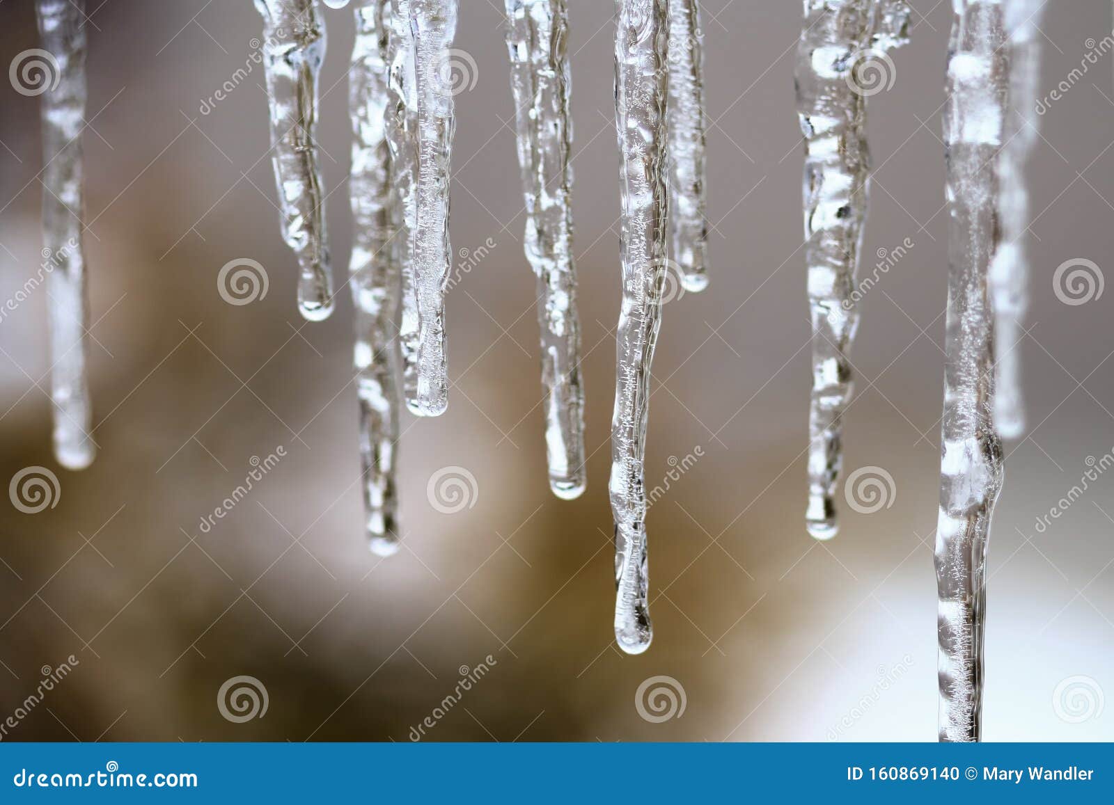 Hanging Icicles Melting in the Sunshine Stock Photo - Image of november ...