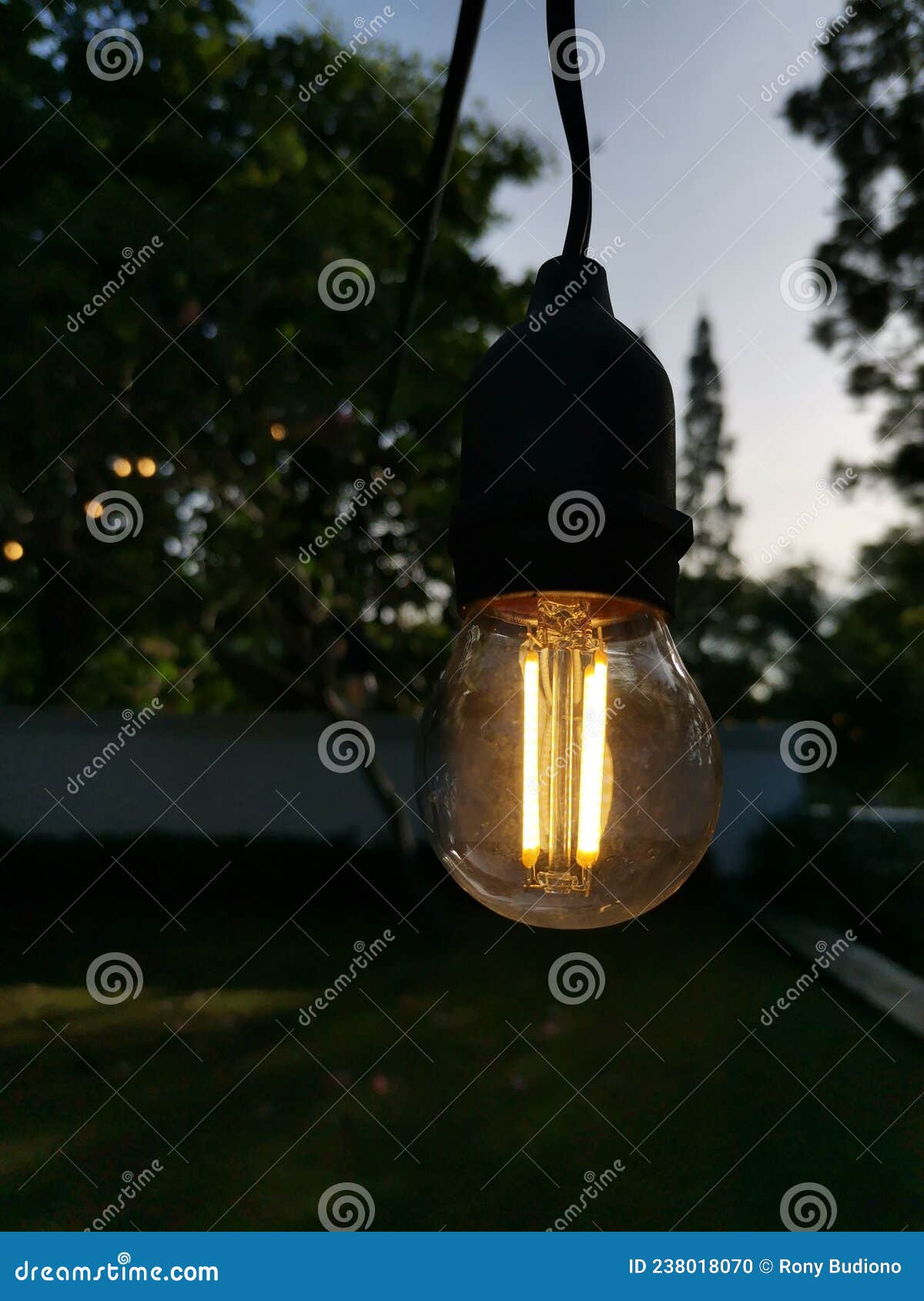 Hanging Incandescent Light Bulb that Lights Up in the Morning Stock ...