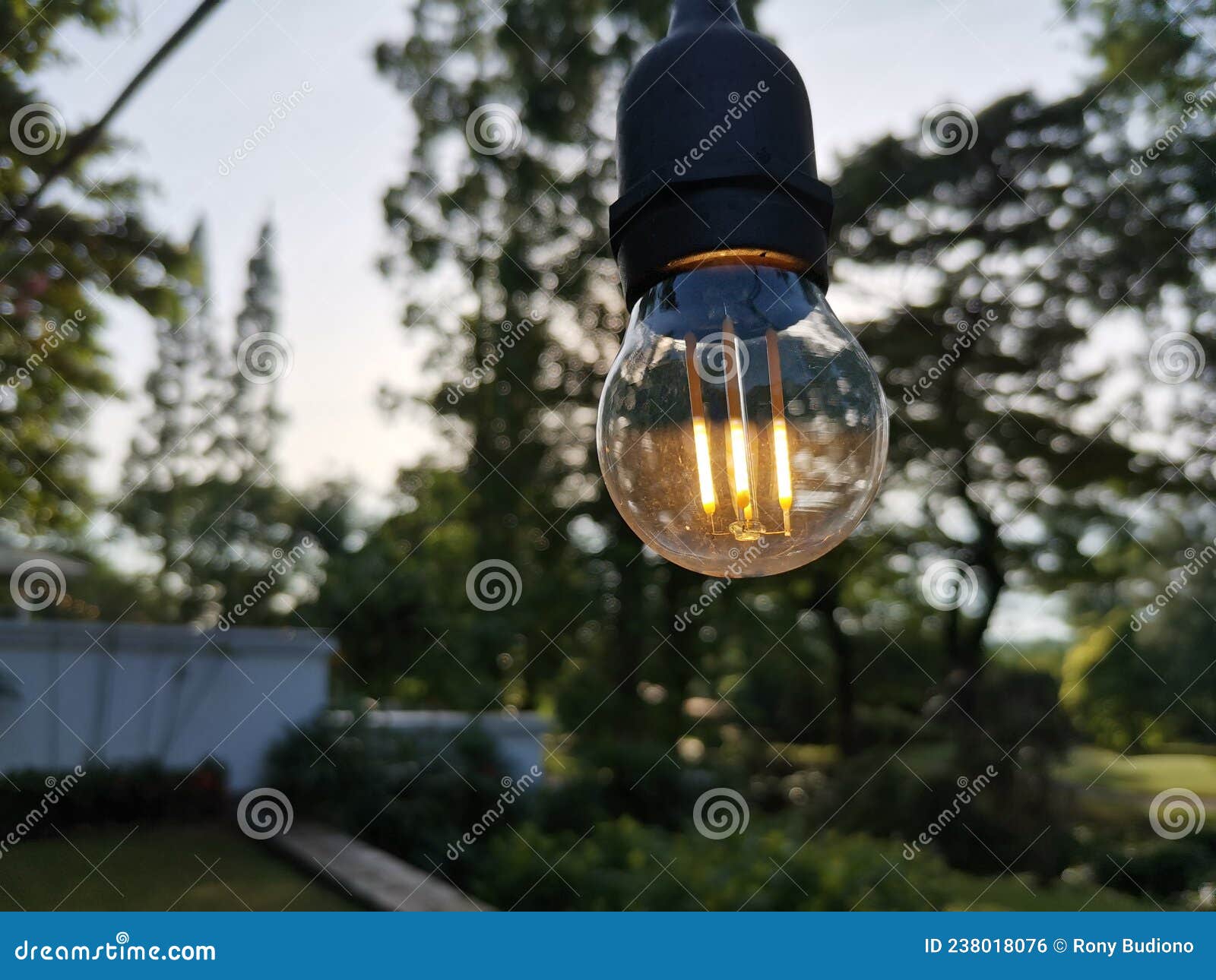 Hanging Incandescent Light Bulb that Lights Up in the Morning Stock ...