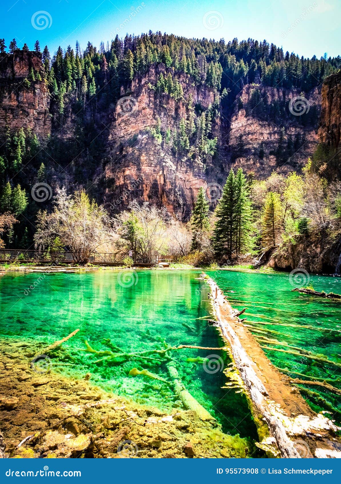 Hanging Lake Fallen Log stock photo. Image of fallen - 95573908