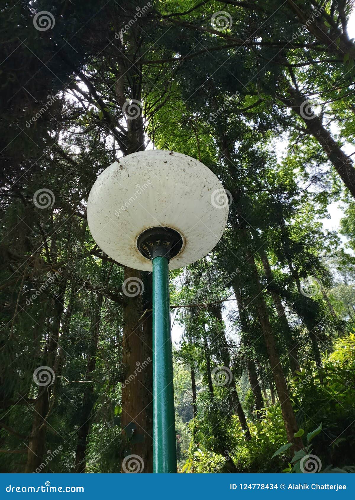 Hanging lamp of forest stock photo. Image of lamp, nature - 124778434