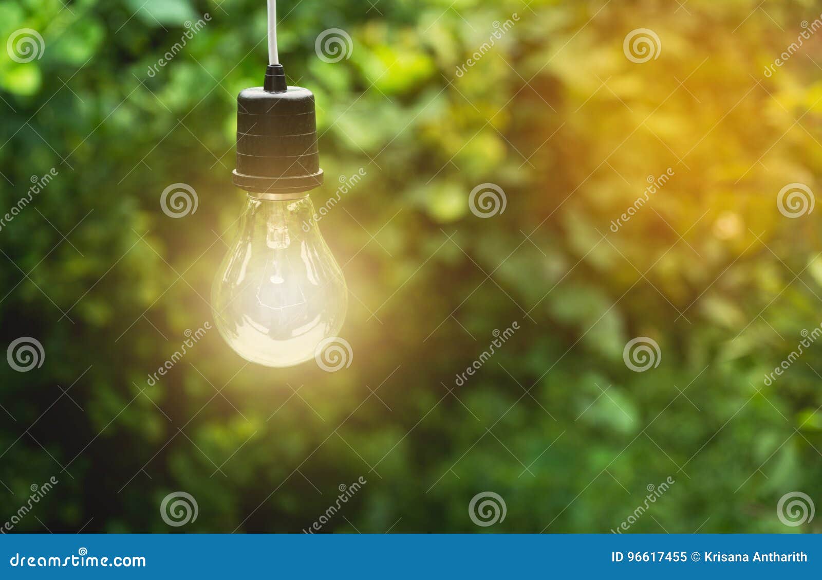 Hanging Light Bulbs with Glowing One. Idea and Creativity Stock Image ...