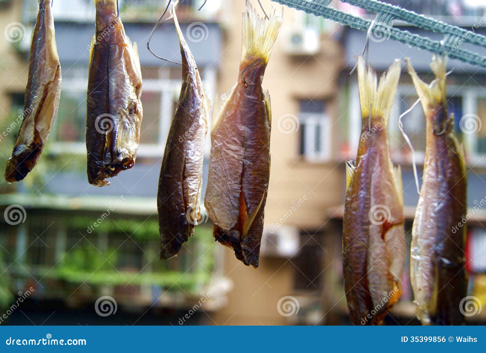 Hanging on a Line To Dry Fish Stock Photo - Image of closeup, seafood ...