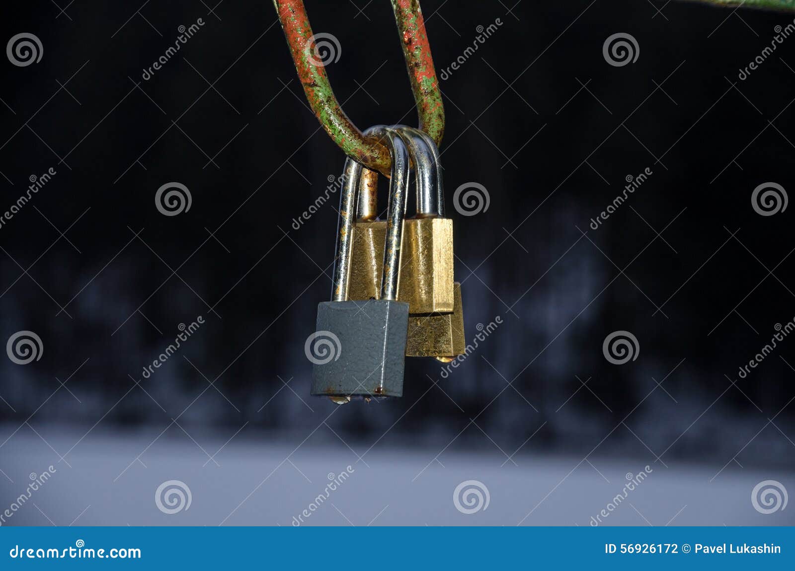 Hanging locks stock photo. Image of golden, luck, hanging - 56926172