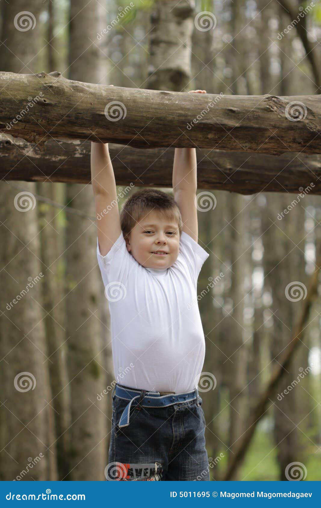 Hanging on a log stock image. Image of forest, hunging - 5011695