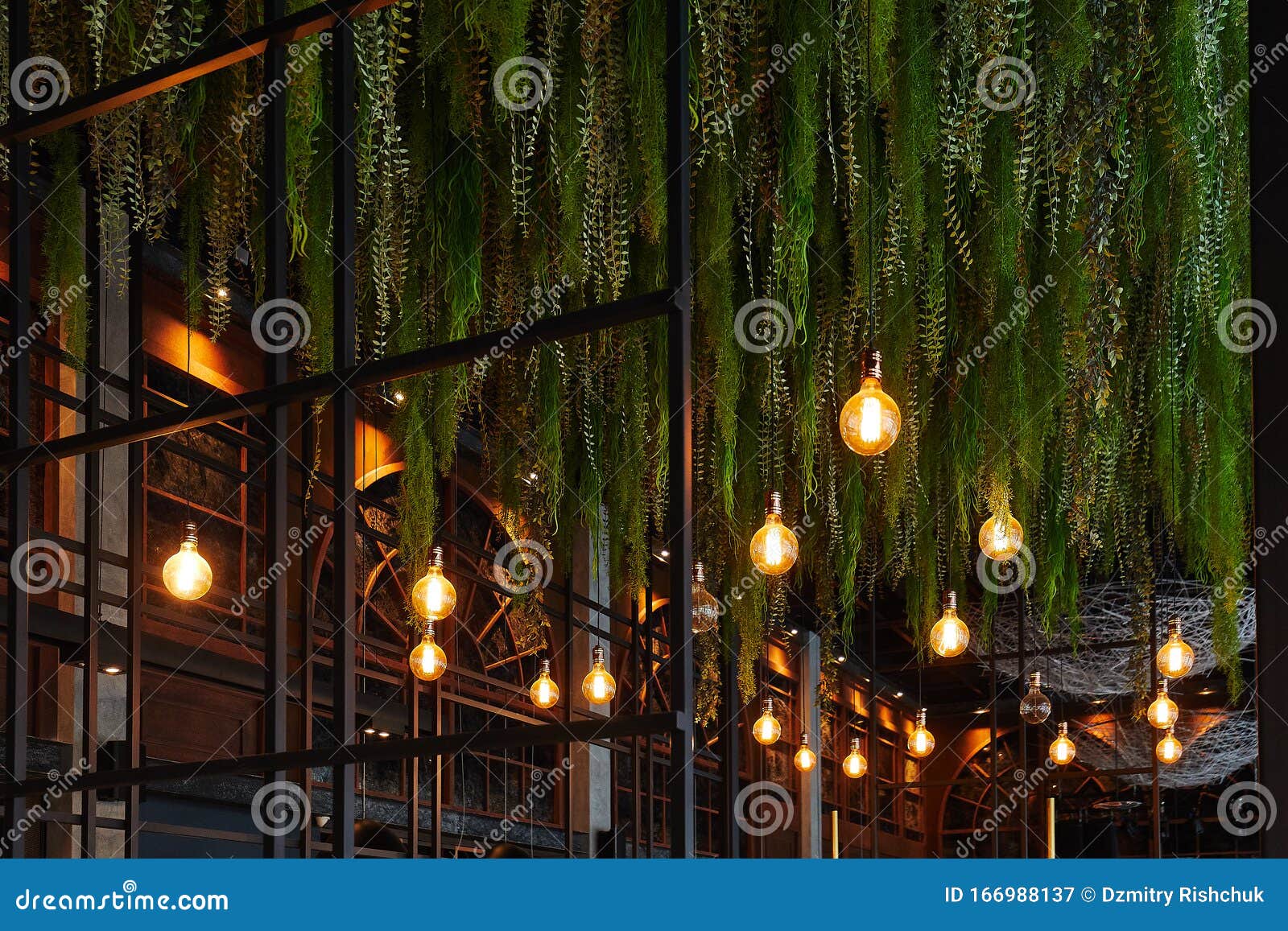 Hanging Long Deciduous Plants and Burning Light Bulbs from the Ceiling ...
