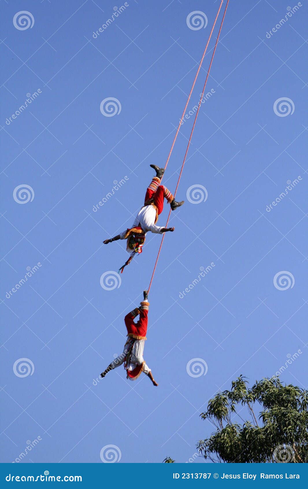 Hanging men stock image. Image of papantla, extreme, culture - 2313787