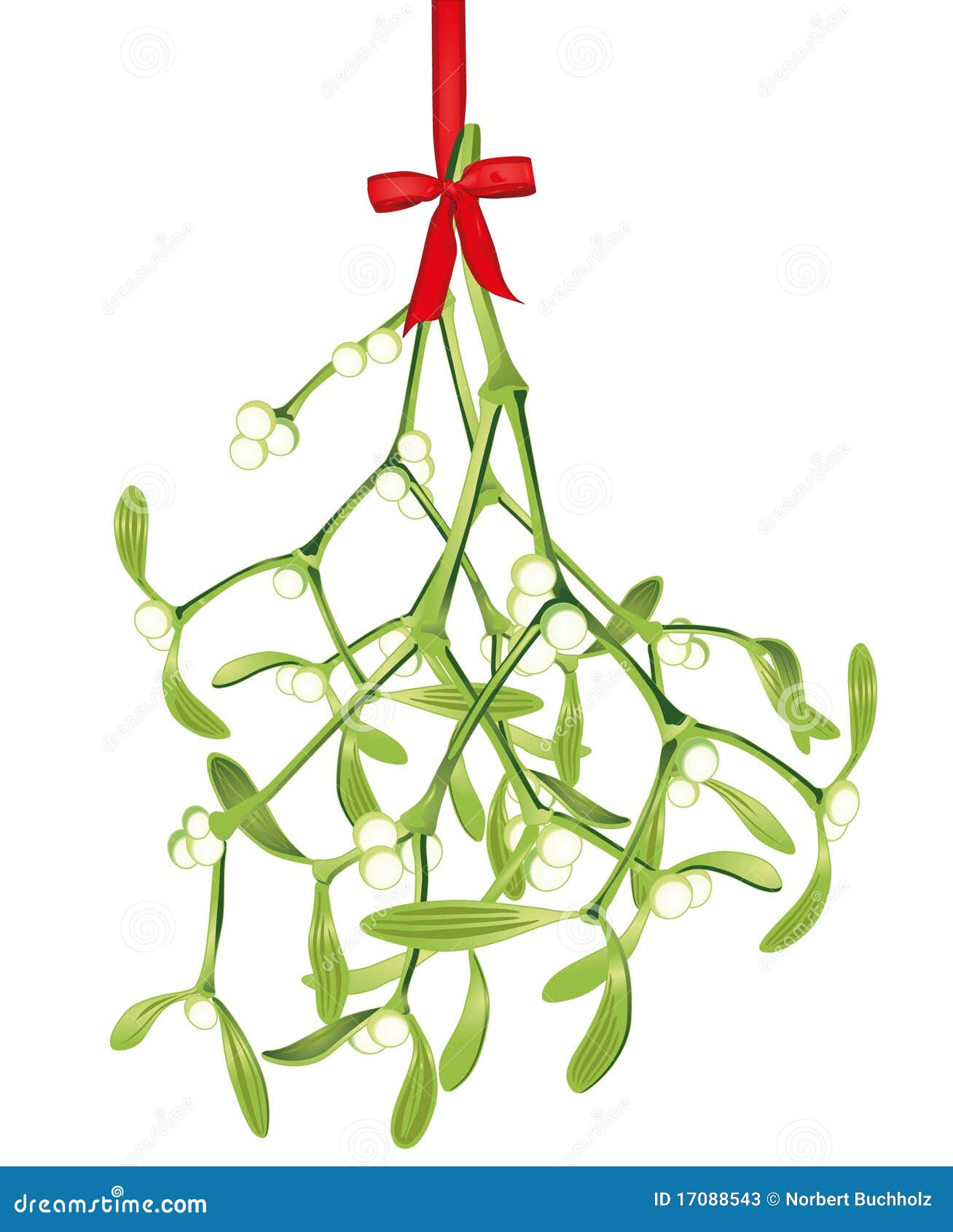 Hanging mistletoe stock vector. Illustration of mistletoe - 17088543