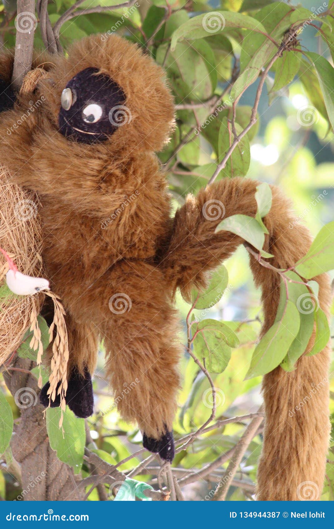 Hanging monkey artificial stock image. Image of monkey - 134944387