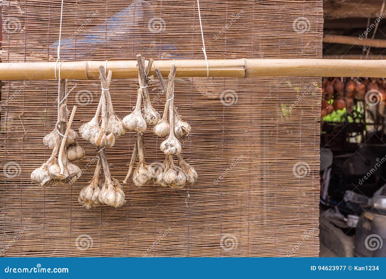 Hanging Organic Garlic Bunches. Stock Image - Image of ingredient ...