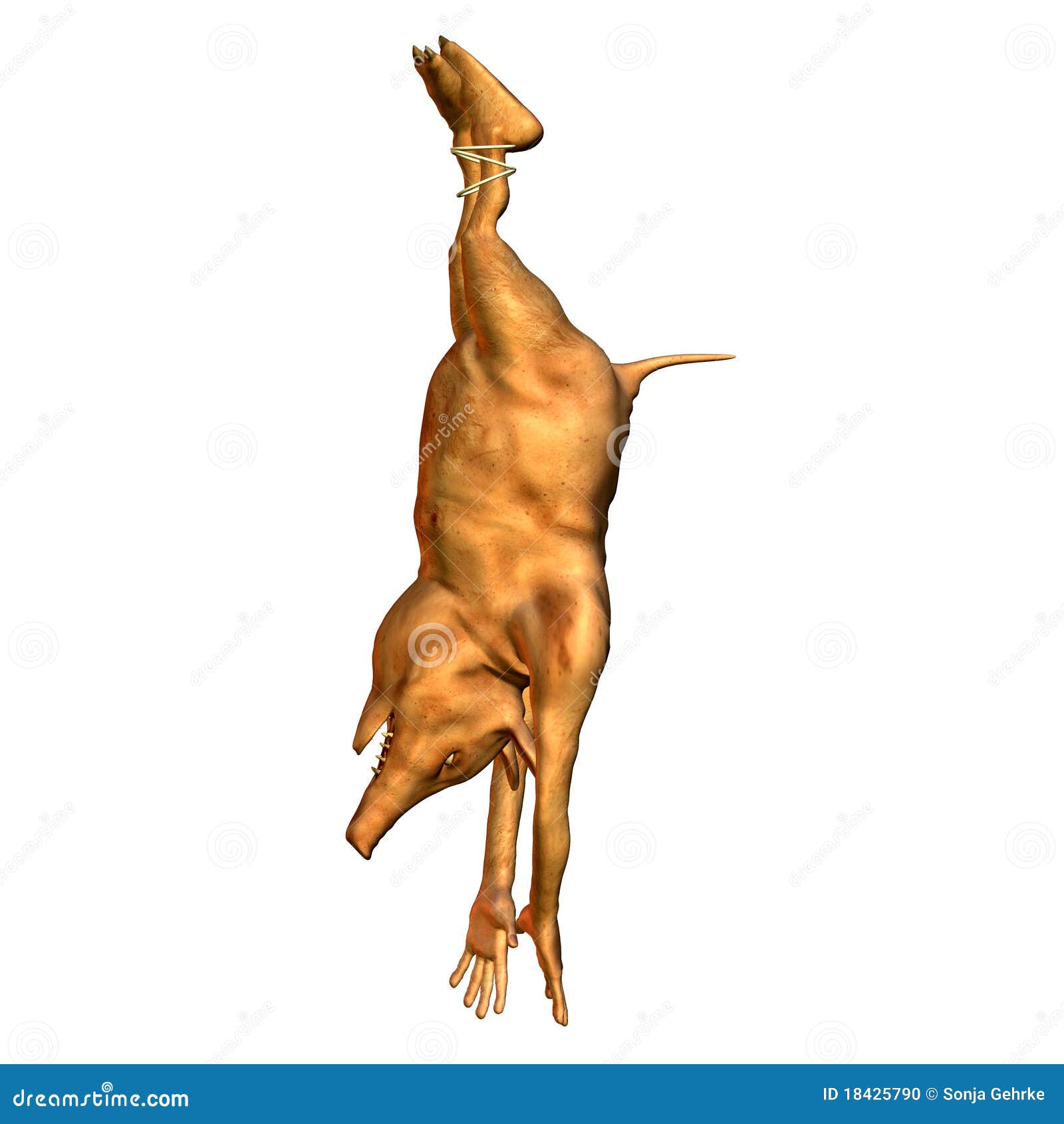 Hanging Pig Stock Photo - Image: 18425790