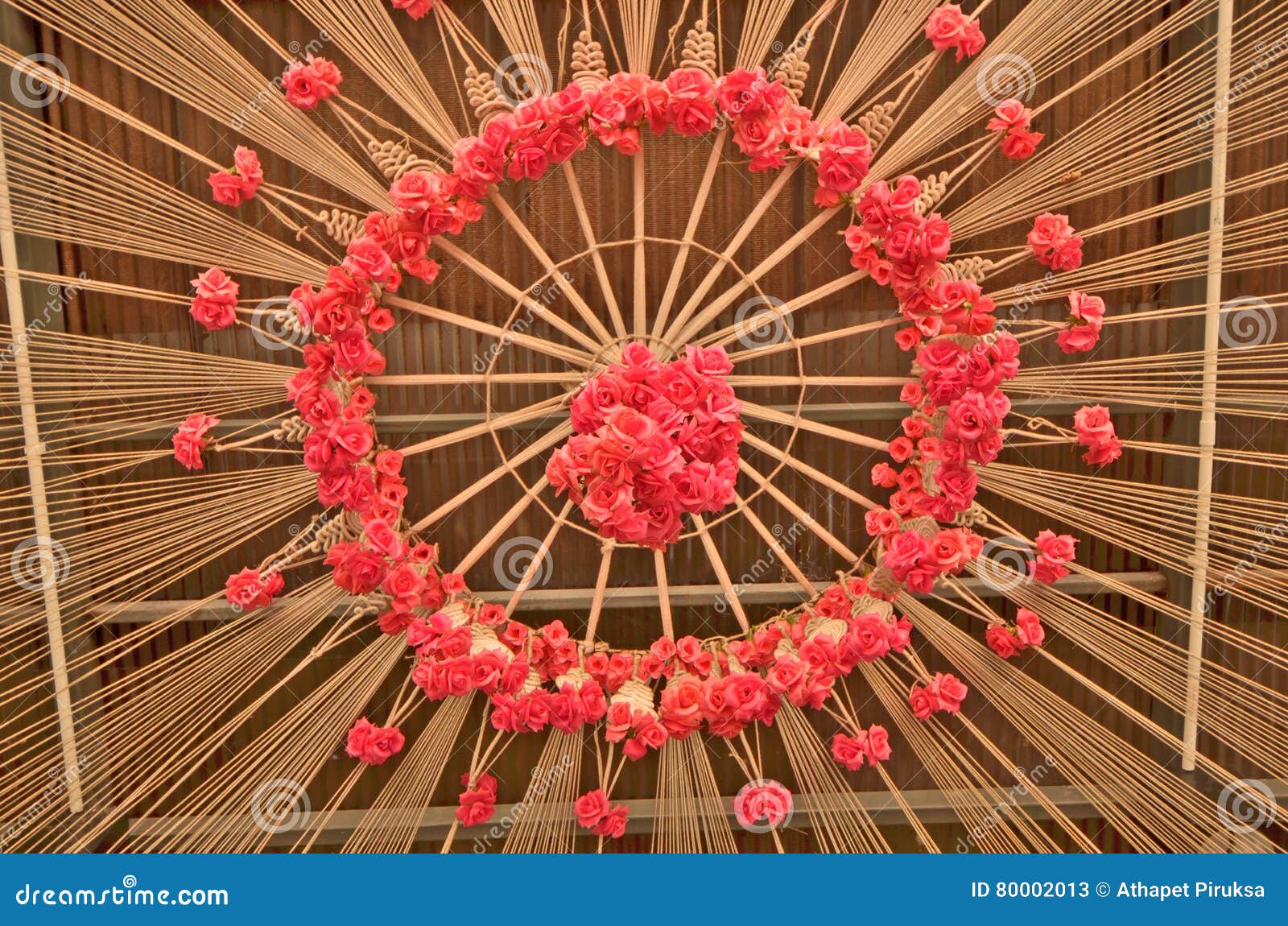 Hanging Pink Roses with Ropes Stock Image - Image of nature, design ...