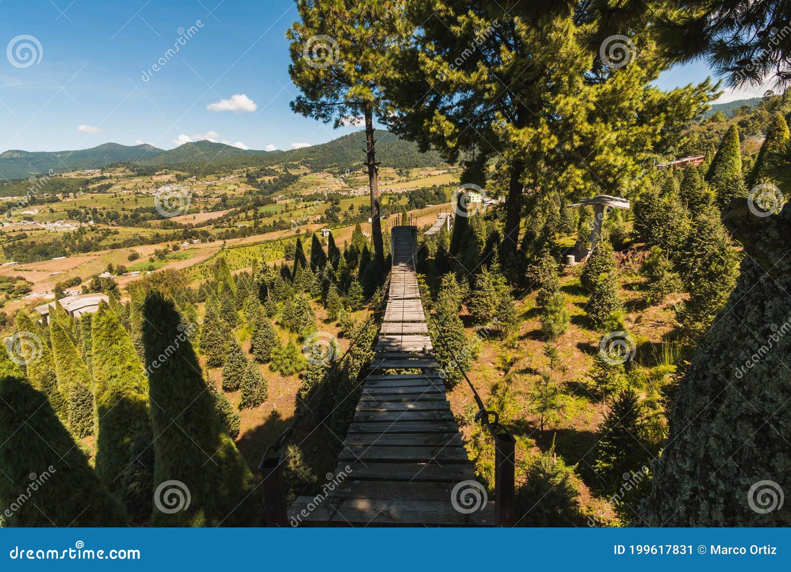 Hanging Point in the Middle of the Forest and Mountains Stock Image ...