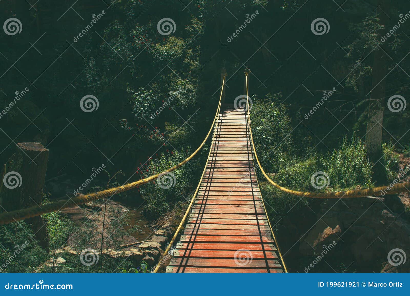 Hanging Point in the Middle of the Forest and Mountains 3 Stock Image ...