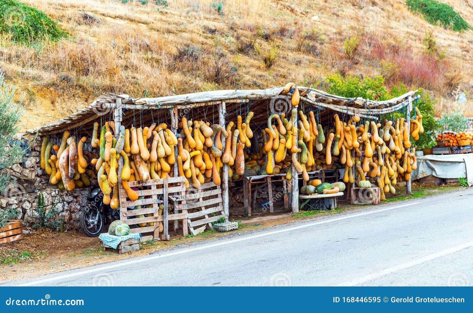 Hanging Pumpkin on the Clothesline in a Roadside Shop, Morocco Stock ...