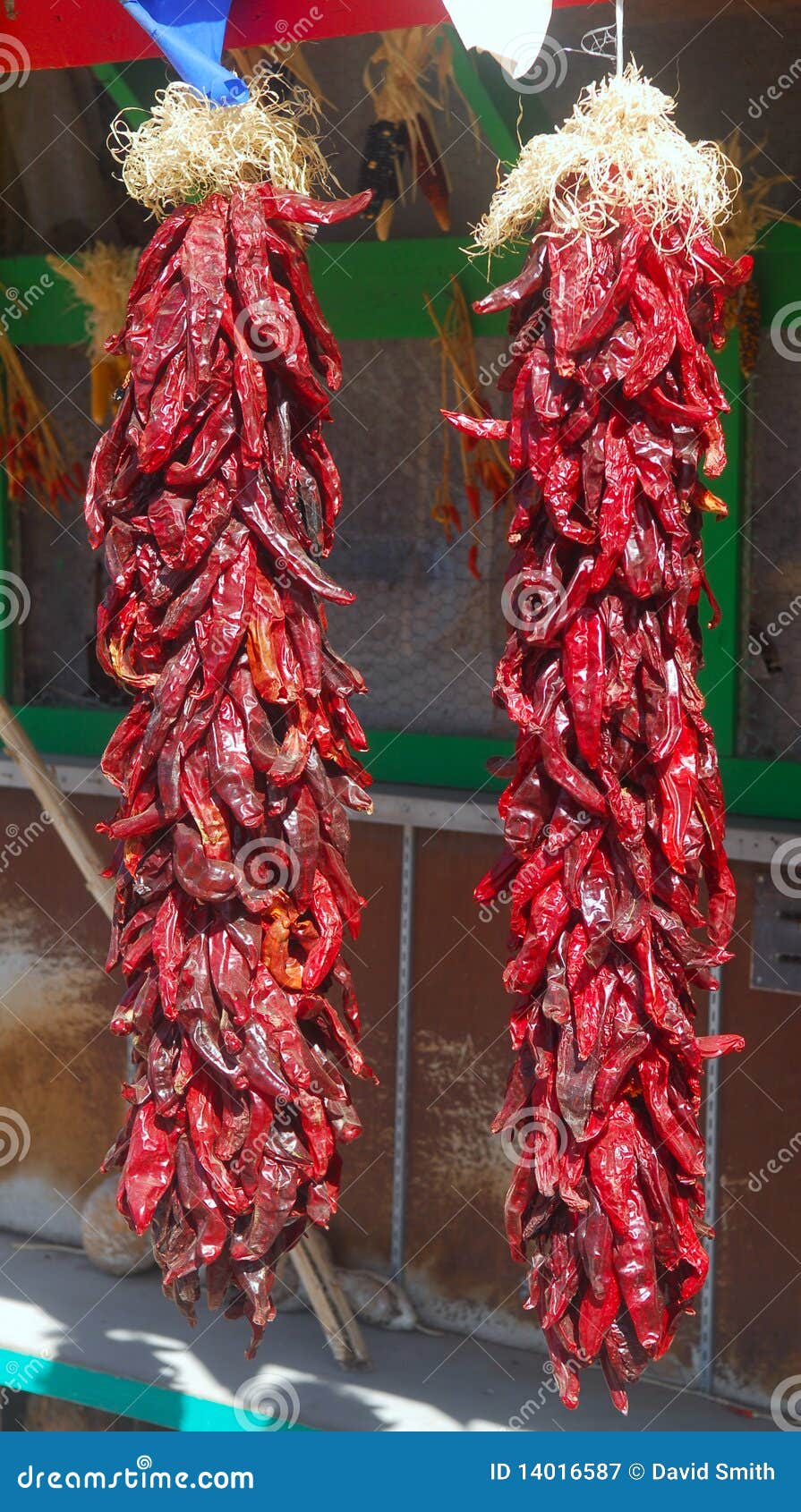 Hanging red chili peppers stock image. Image of chili - 14016587