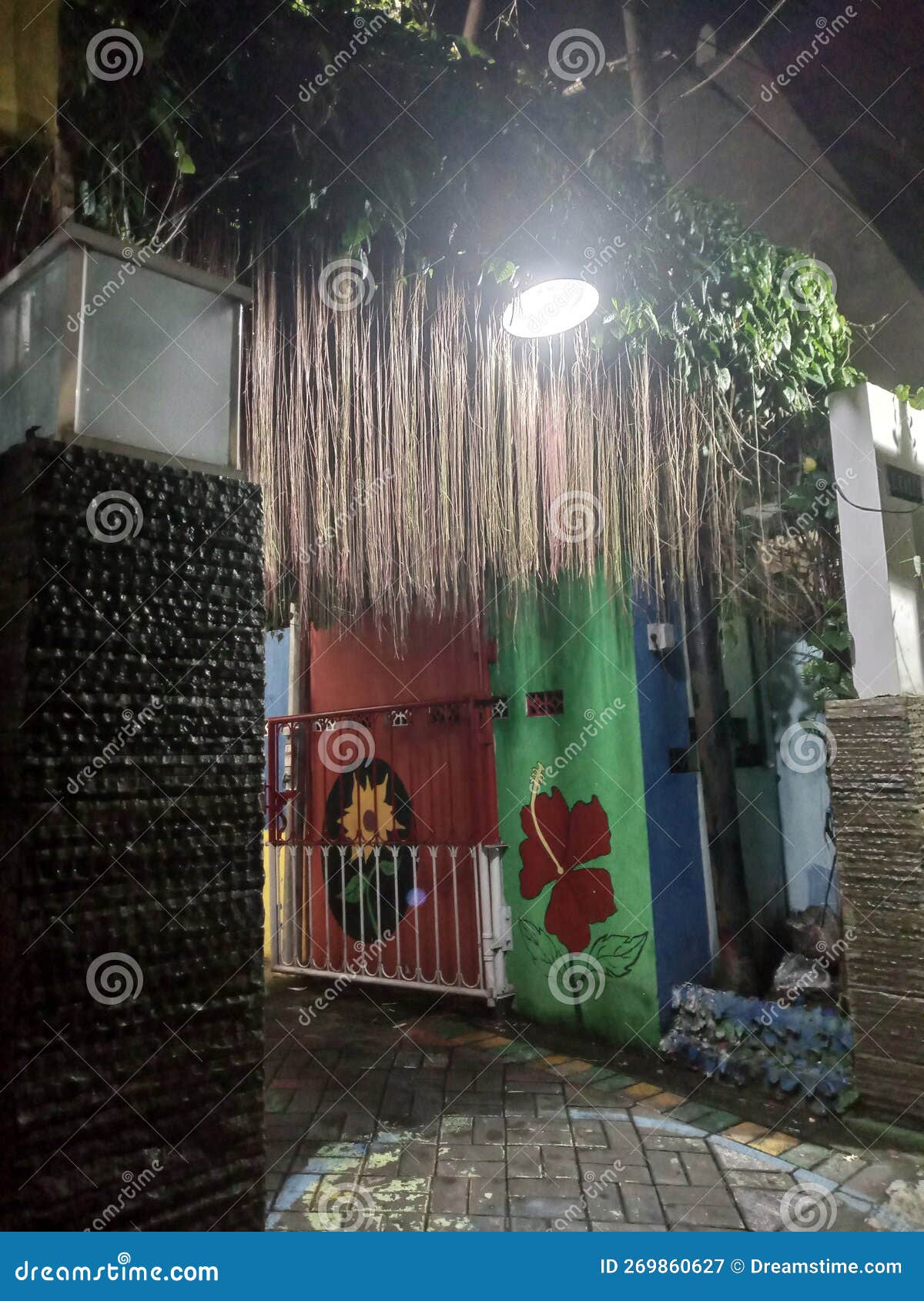 Hanging Root Plant and Light Stock Image - Image of mural, tree: 269860627