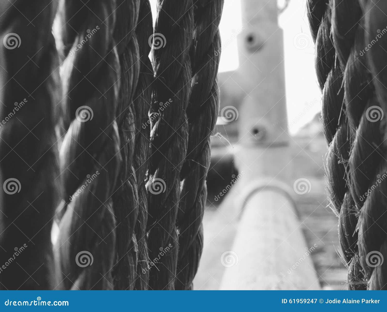 Hanging Ropes on Harbour Steel Railings Stock Image - Image of hanging ...