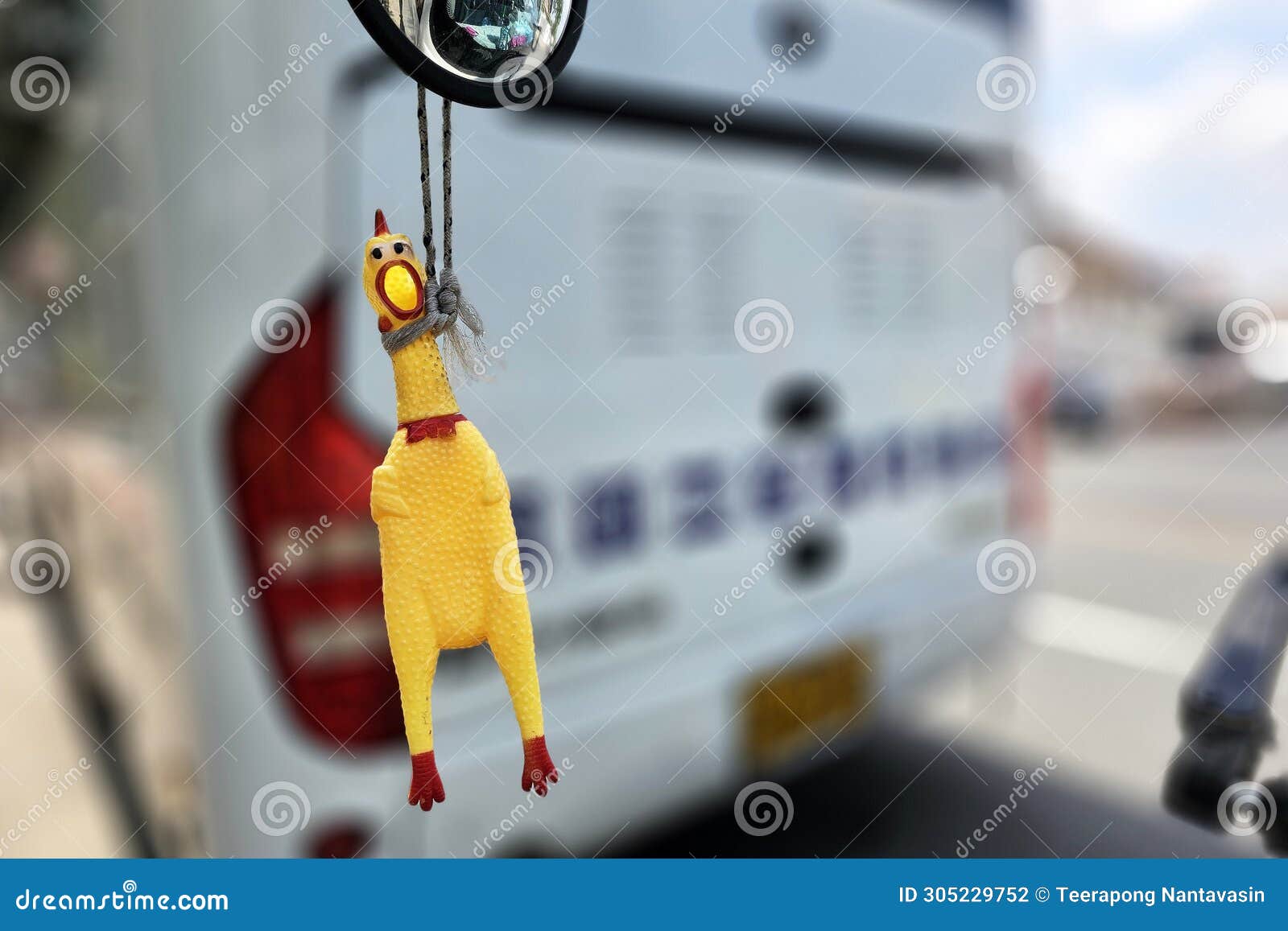 Hanging Rubber Chicken Toy in Front of Side Mirror Bus. Stock Photo ...
