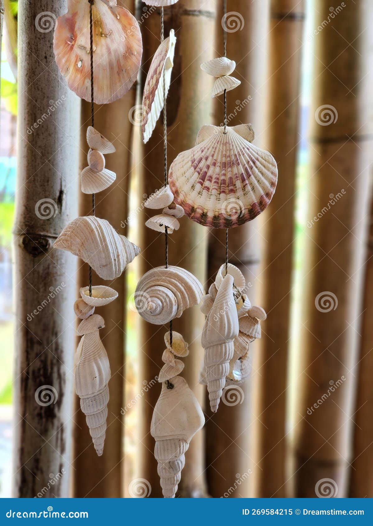 Hanging seashells stock image. Image of yellow, mobile - 269584215