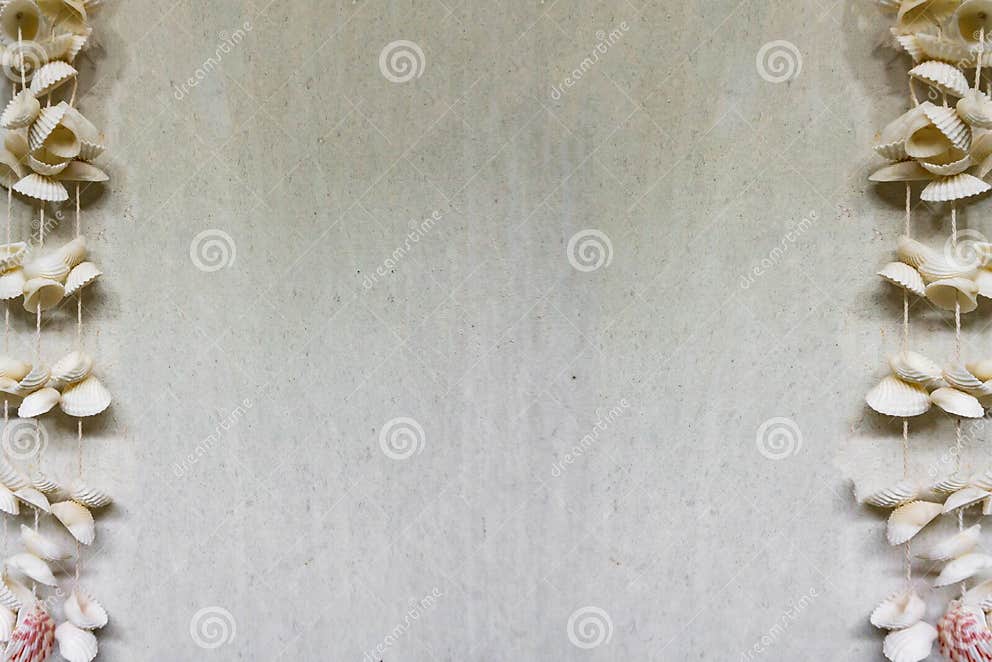 Hanging Shell on Wall with Space for Background Stock Photo - Image of ...
