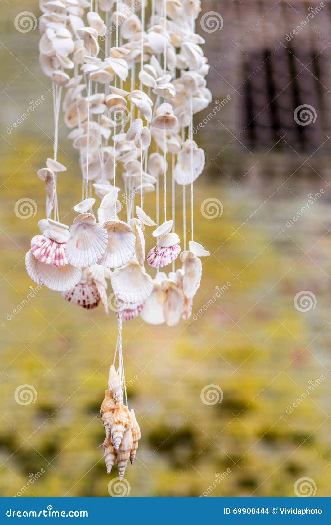 Hanging shells stock photo. Image of door, shell, wall - 69900444