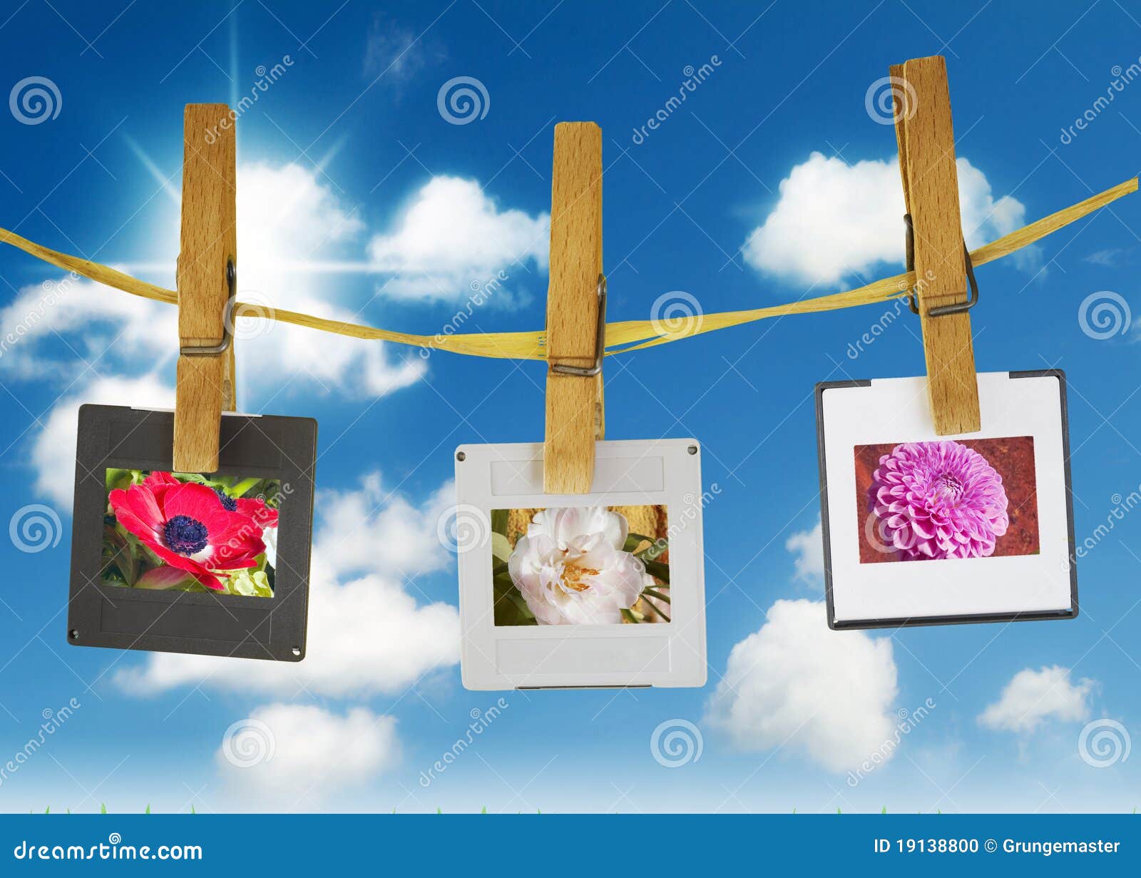 Hanging Slides with Flowers Stock Photo - Image of hang, springflower ...