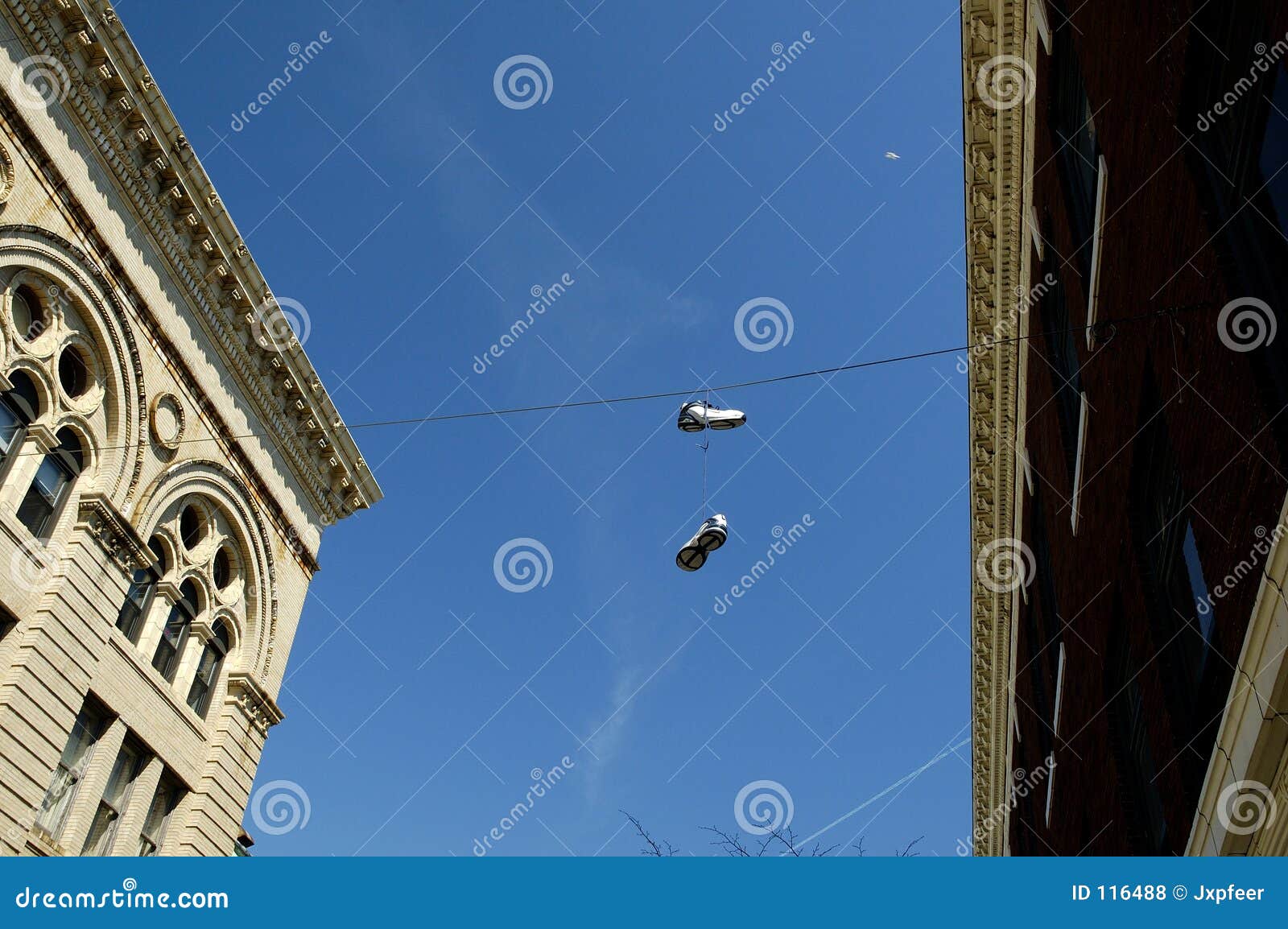 Hanging Sneakers stock photo. Image of looking, sneakers - 116488