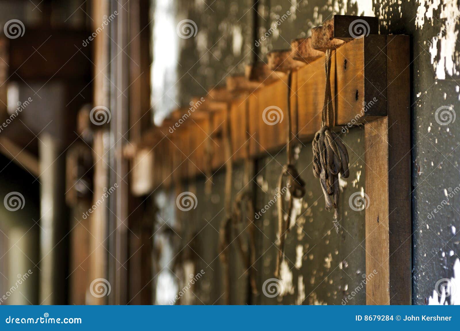 Hanging String stock photo. Image of brown, field, depth - 8679284