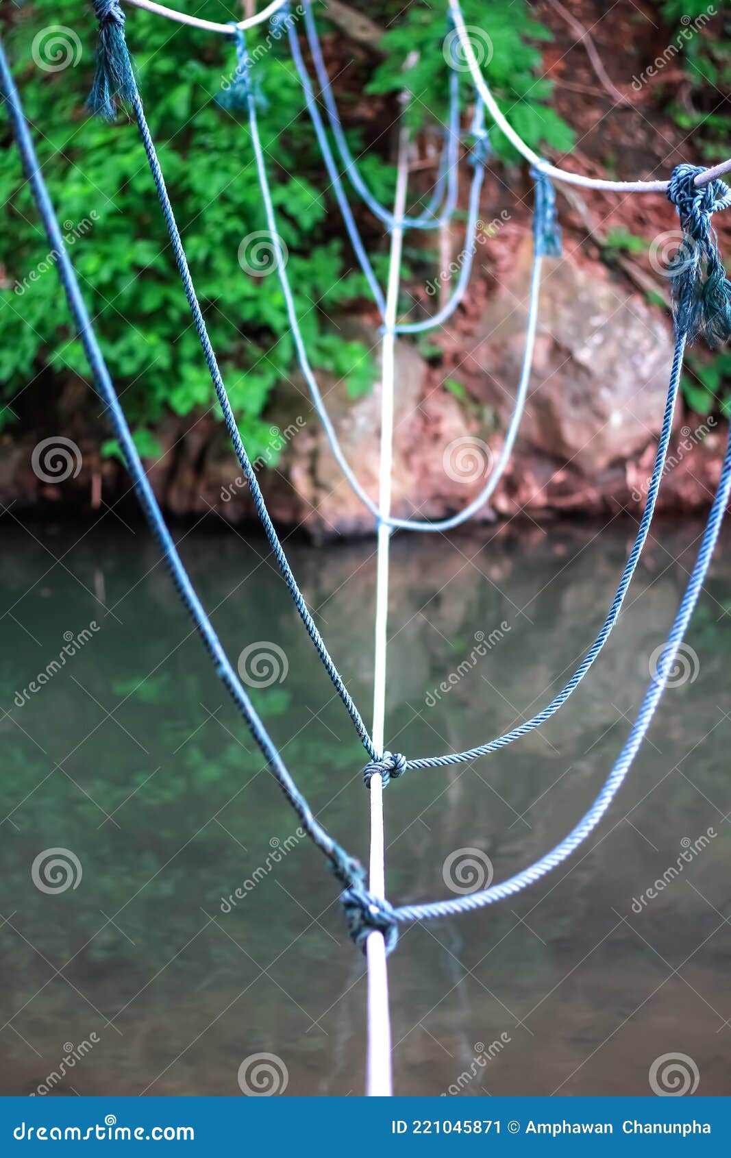 Hanging String Walkway Across Water in Rainforest Stock Image - Image ...