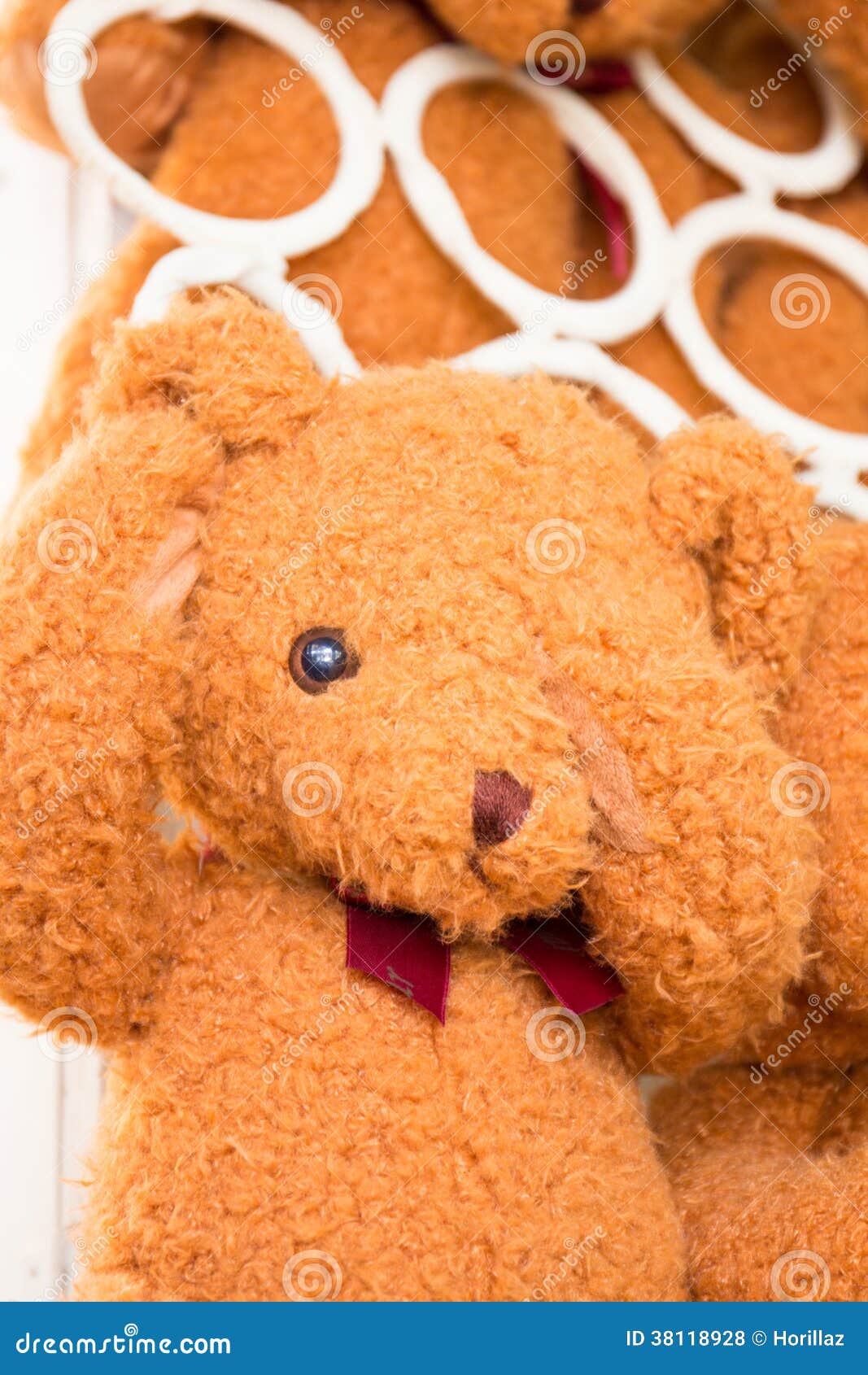 Hanging teddy bear stock photo. Image of holiday, hanging - 38118928