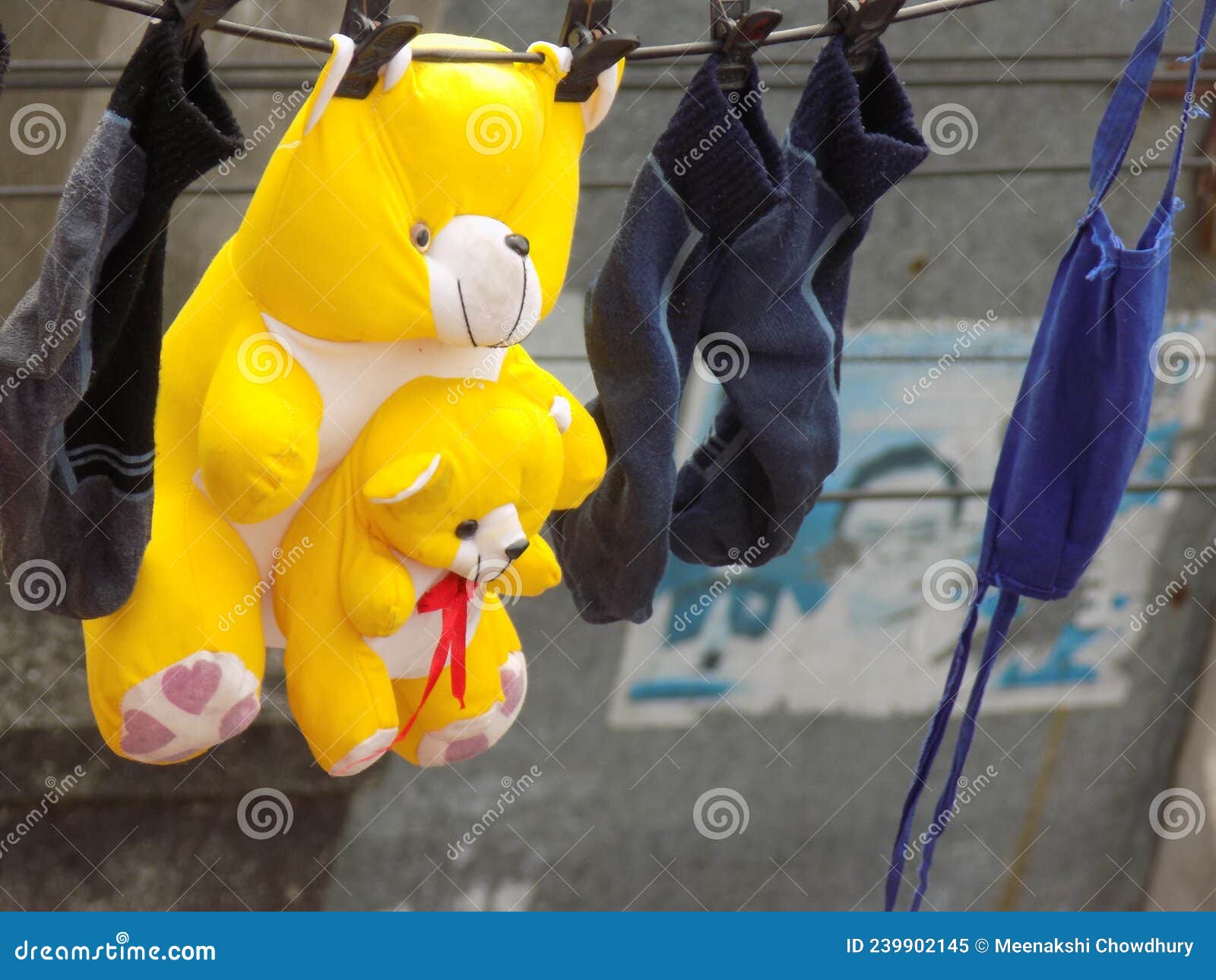 Hanging Teddy bear stock image. Image of animal, play - 239902145