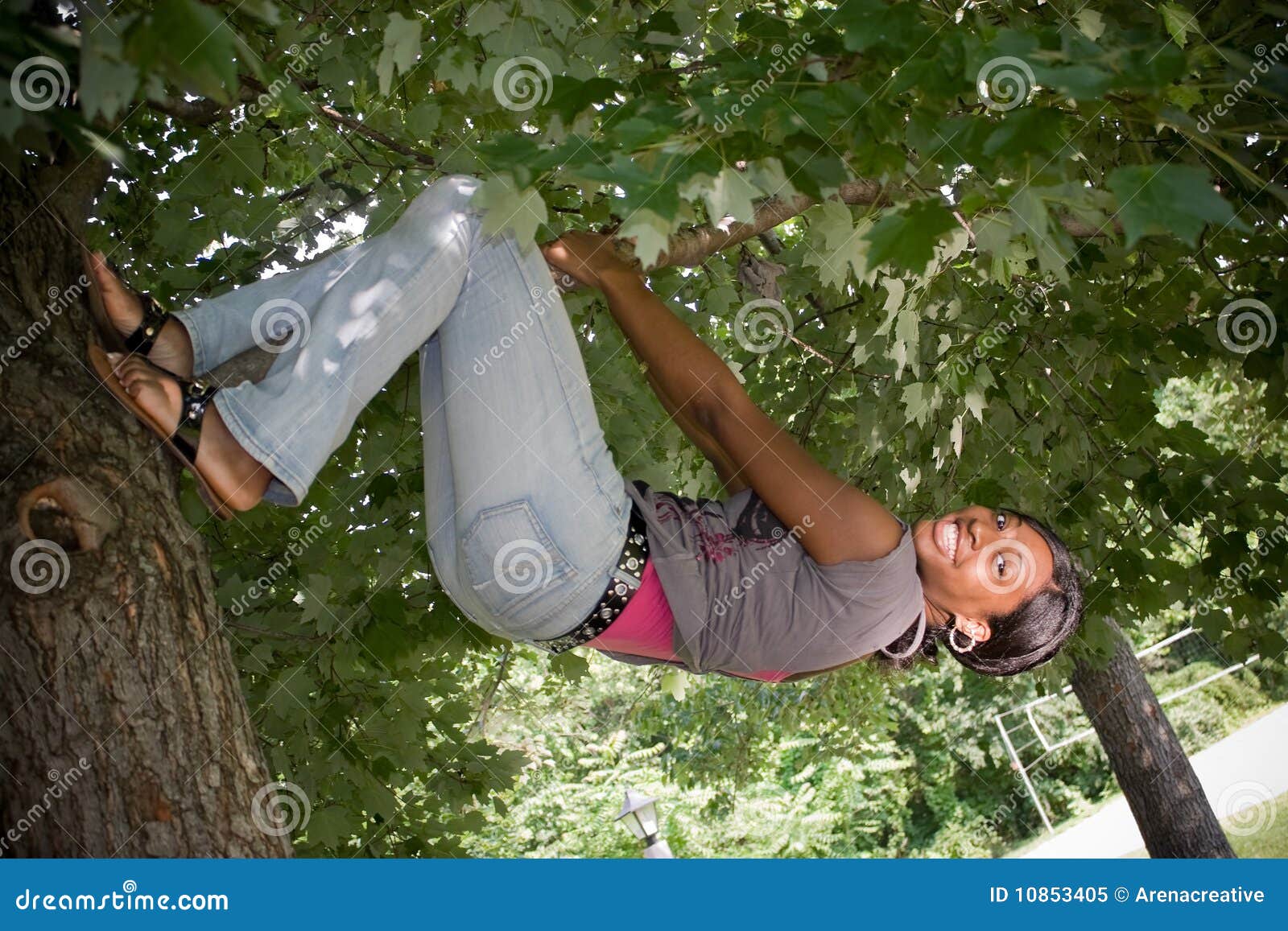 Hanging from a Tree stock image. Image of black, branch - 10853405