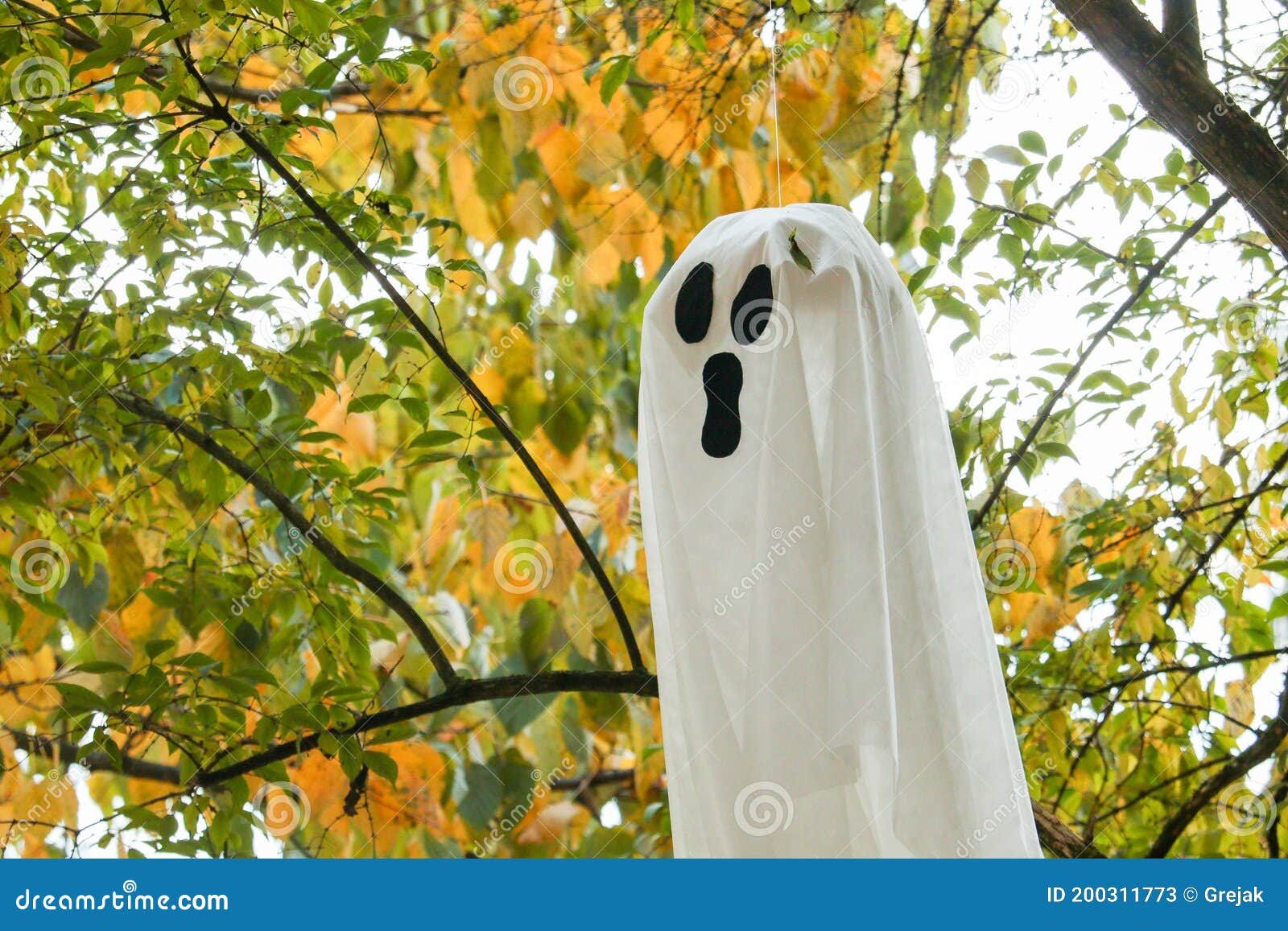 Hanging tree ghost stock image. Image of harvest, autumn - 200311773