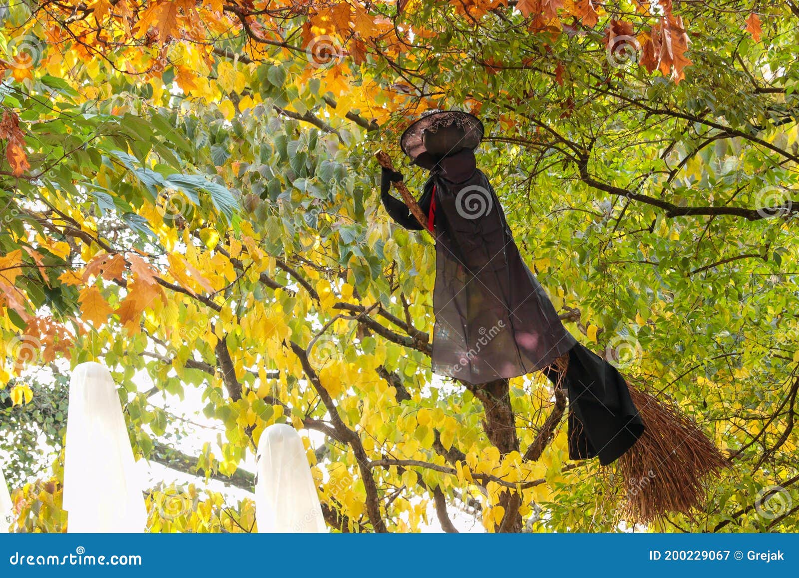 Hanging tree ghost stock image. Image of fresh, halloween - 200229067