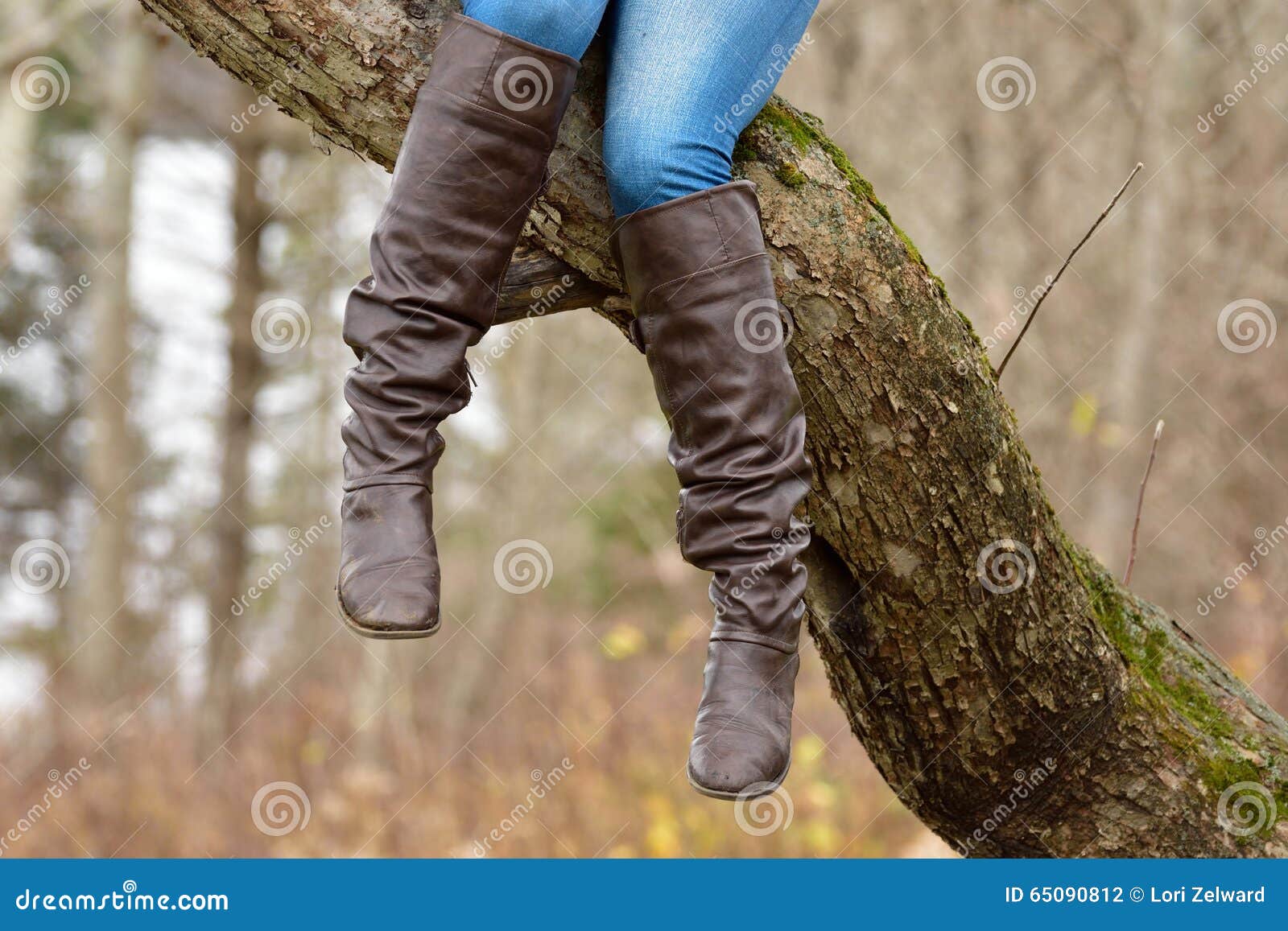 Hanging in a Tree stock photo. Image of human, boot, backgrounds - 65090812
