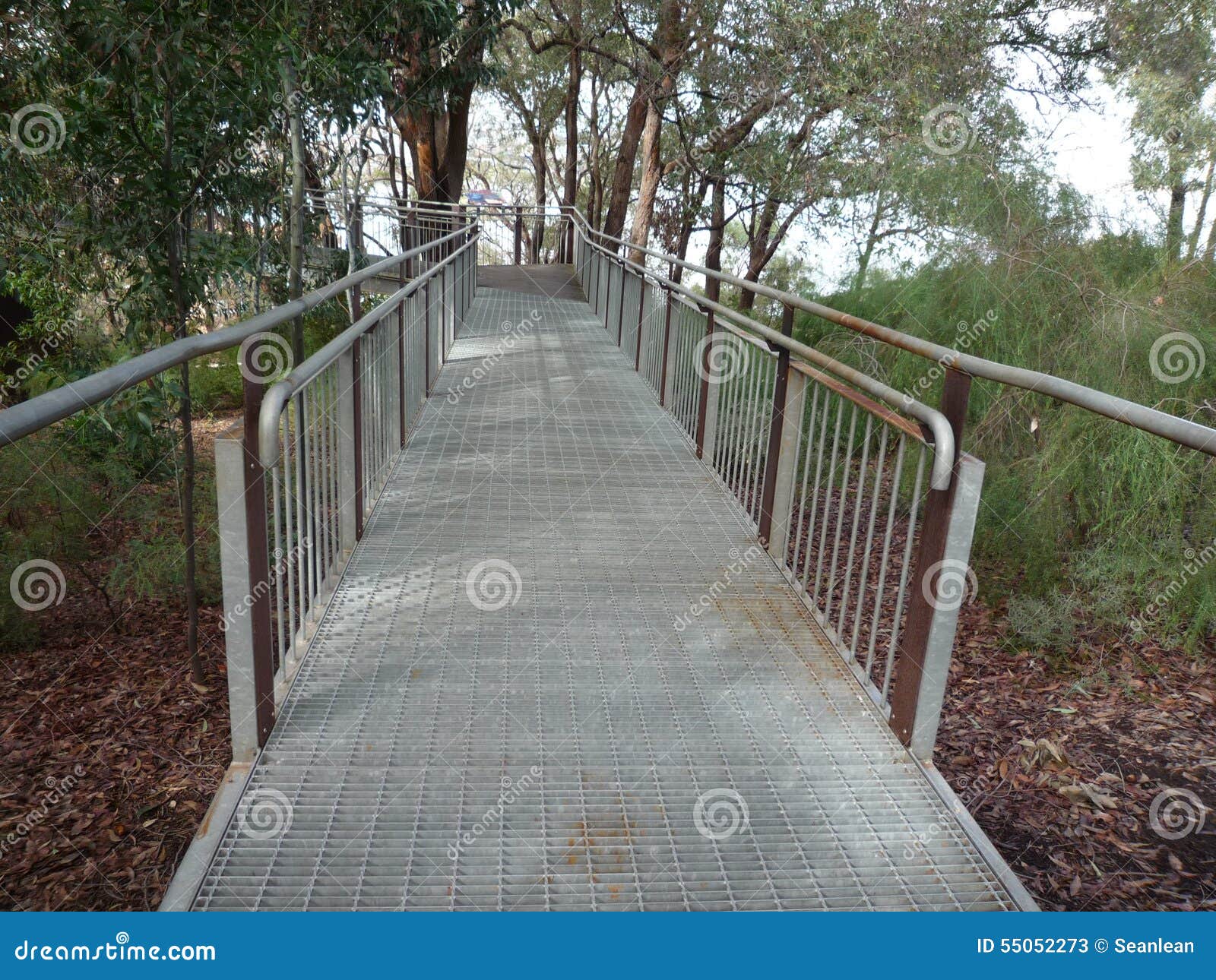 A hanging walking bridge stock image. Image of perth - 55052273