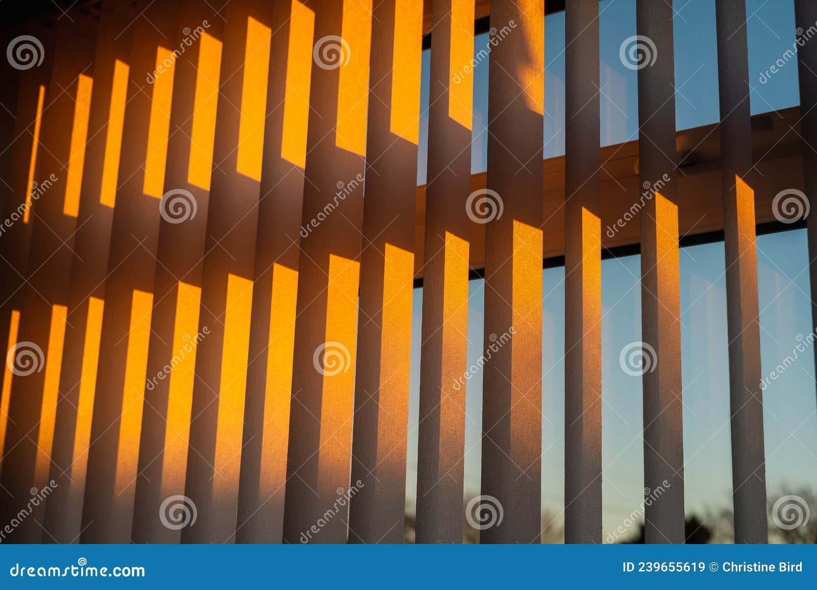 Hanging White Textured Vertical Window Slats Reflecting the Gold of a ...