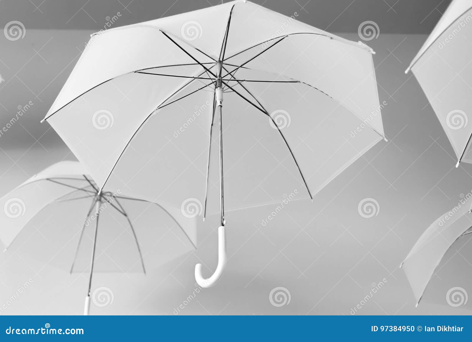 Hanging white umbrellas stock photo. Image of colour - 97384950