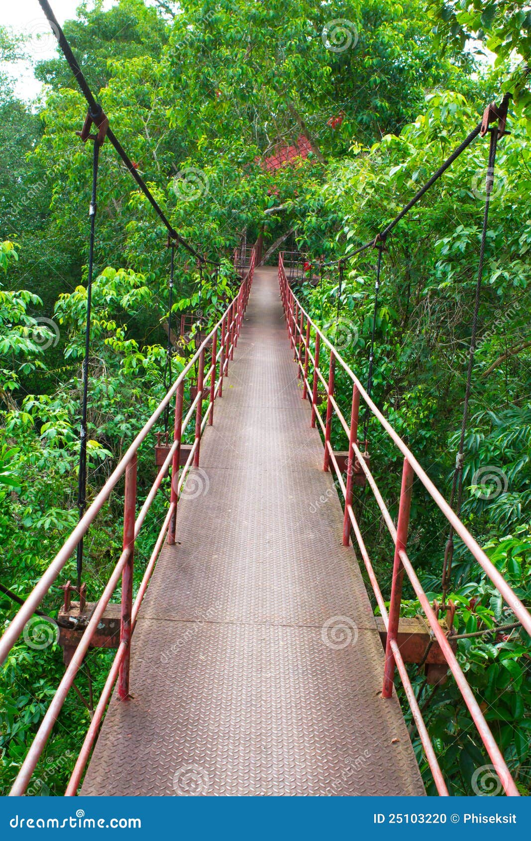 Hanging wooden bridge stock photo. Image of journey, green - 25103220