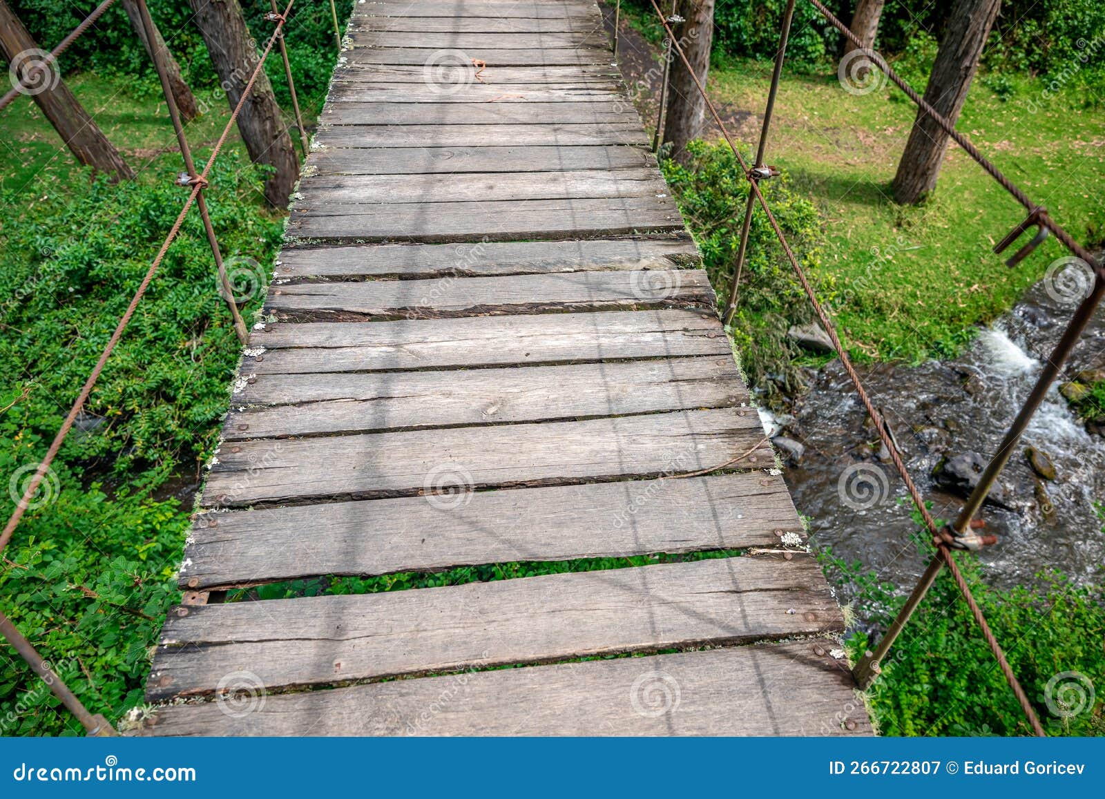 Hanging Wooden Bridge in the Forest Stock Image - Image of nature ...