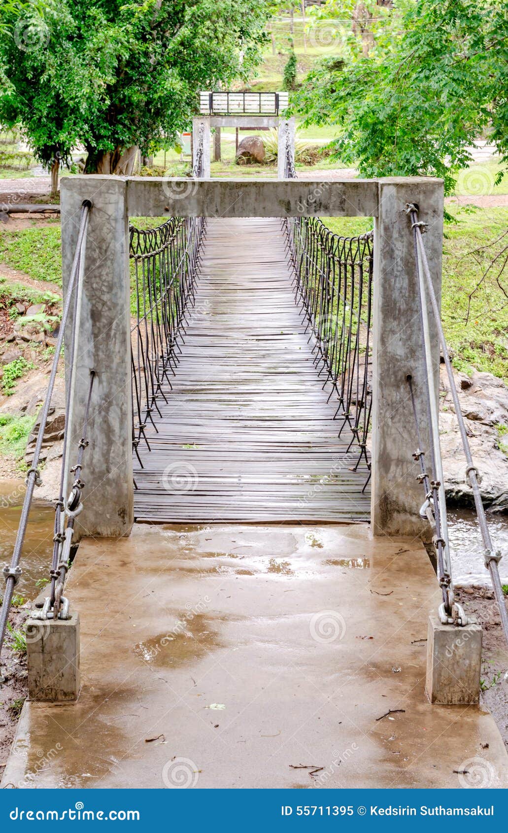 Hanging Wooden Bridge Over the Stream Stock Image - Image of land ...