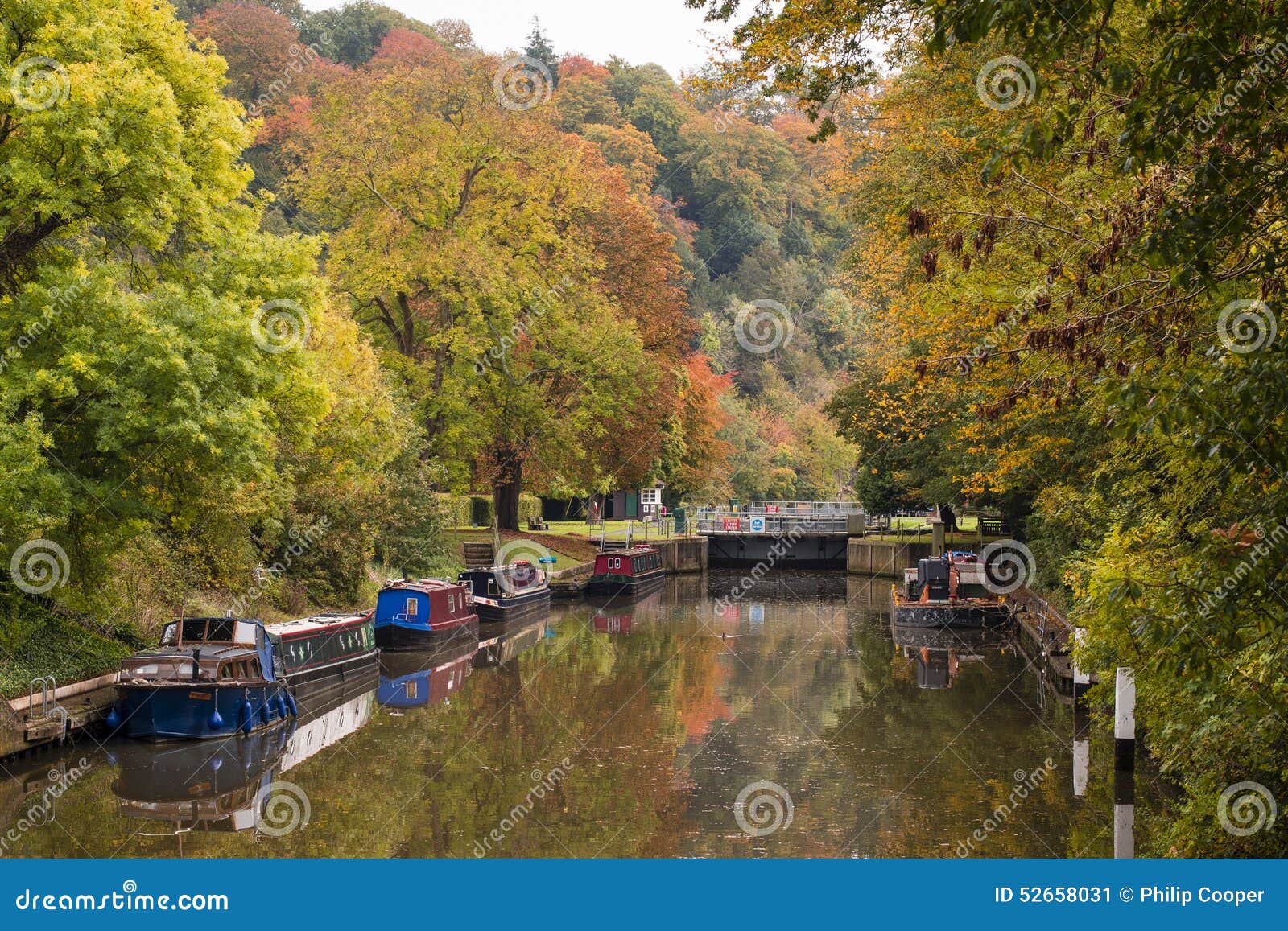Hanging Woods stock image. Image of holiday, lock, green - 52658031