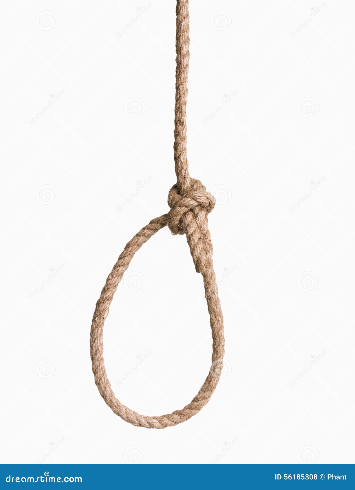 Hangman s knot stock photo. Image of death, hangman, desk - 56185308