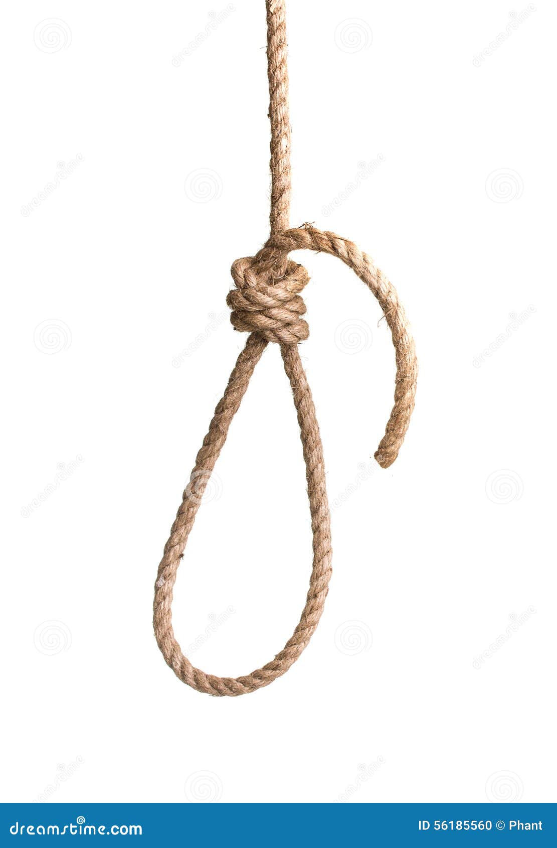 Hangman s knot stock photo. Image of brown, strangle - 56185560