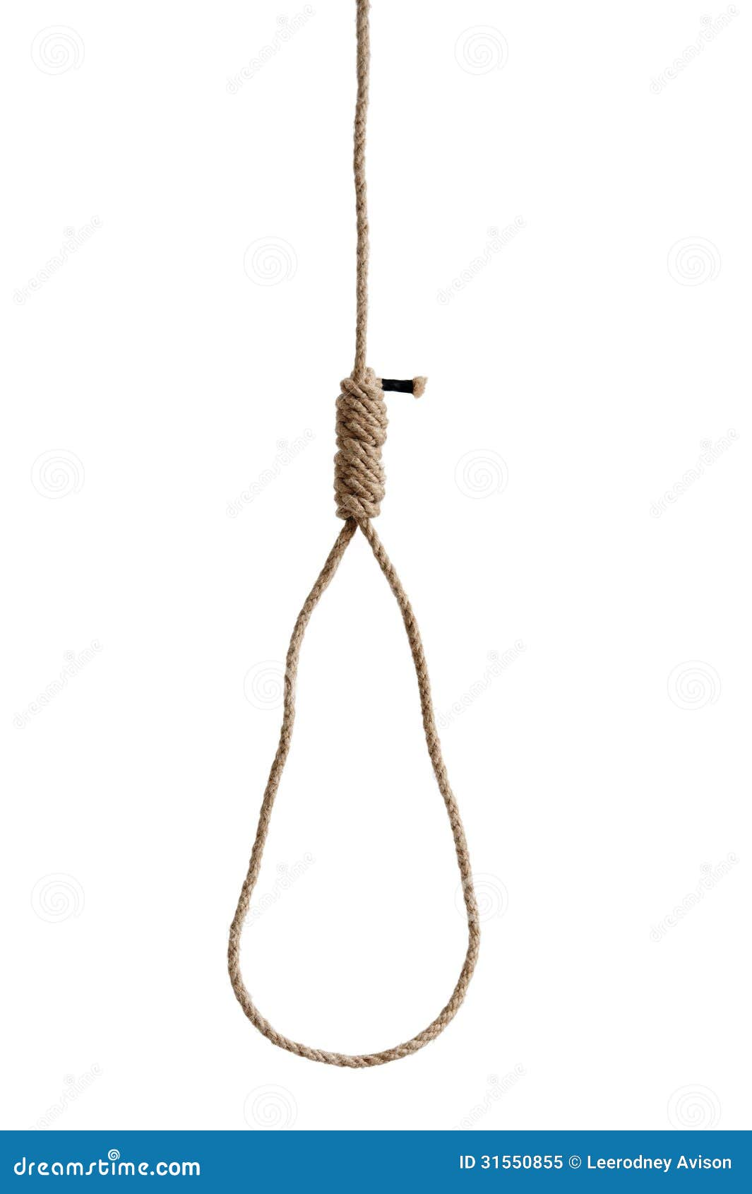 Hangmans Rope Noose Isolated on White Stock Image - Image of knot, hang ...