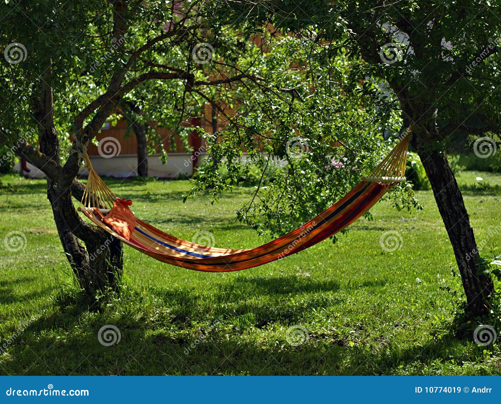 Hangmat in de tuin stock afbeelding. Image of stil, nave - 10774019