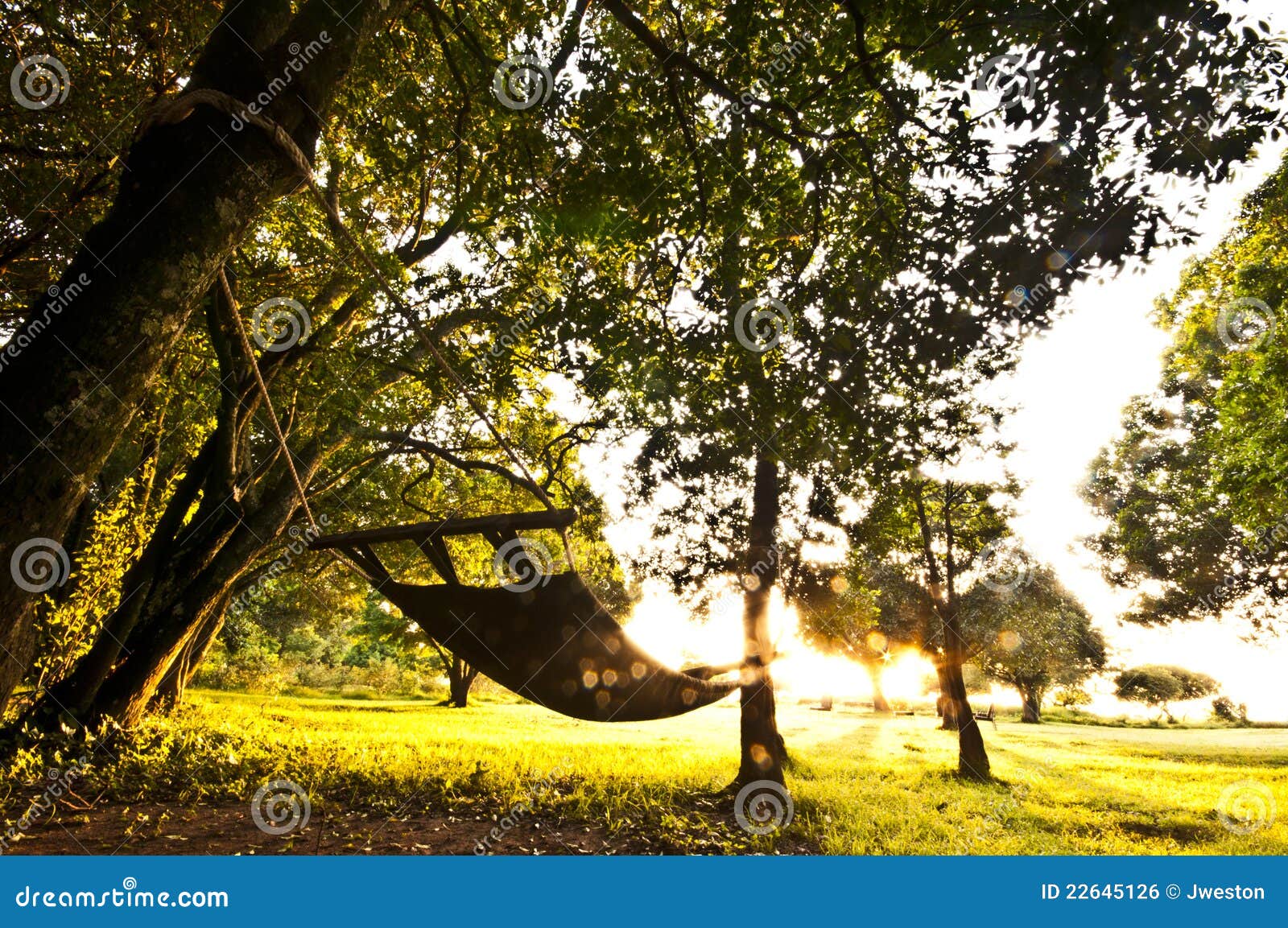 Hangmat in de Zon stock foto. Image of ontspan, boom - 22645126